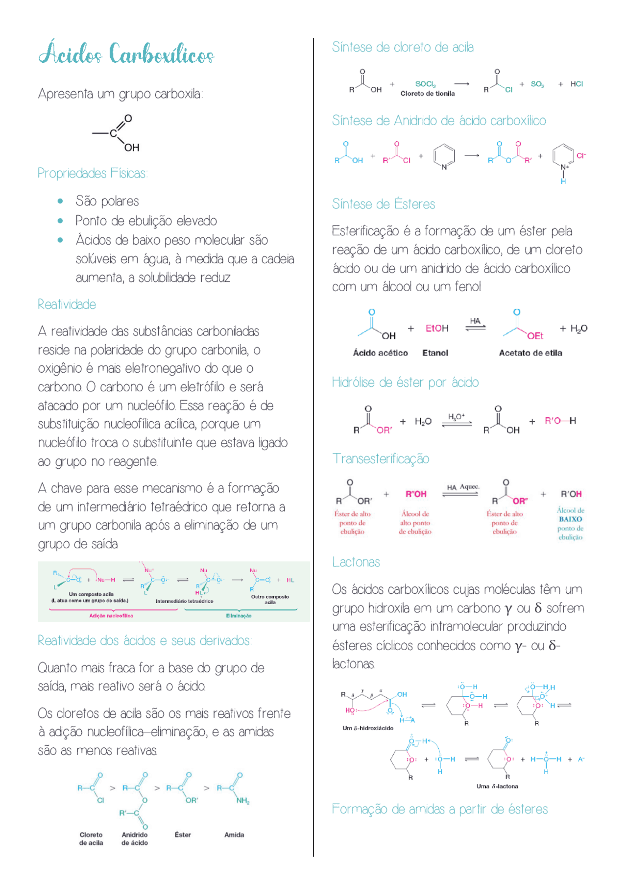 Resumo sobre funções organicas - Docsity
