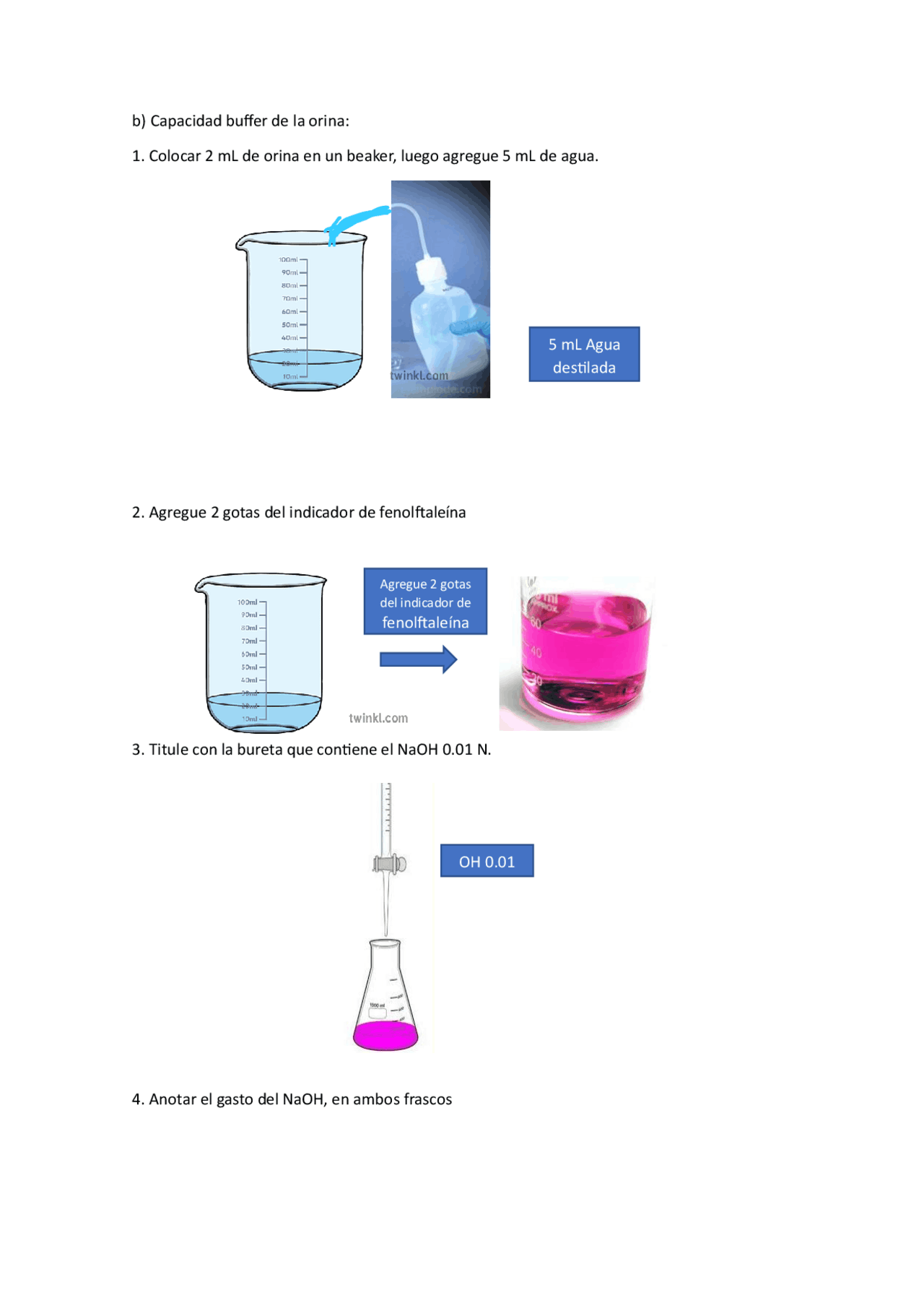 Determinación de la capacidad buffer de la orina - Prof. Quezada ...