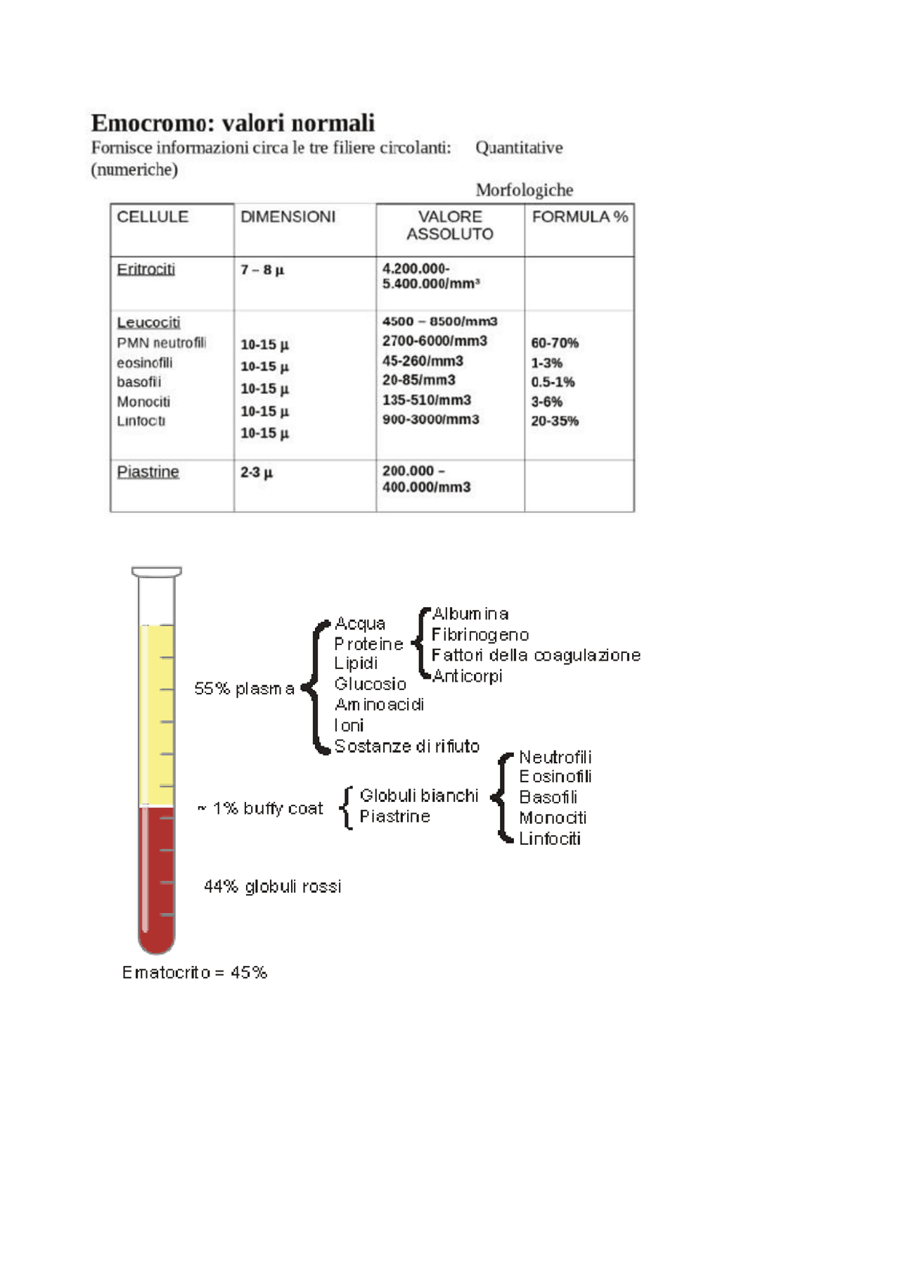Schema sul sangue e i suoi componenti - Docsity