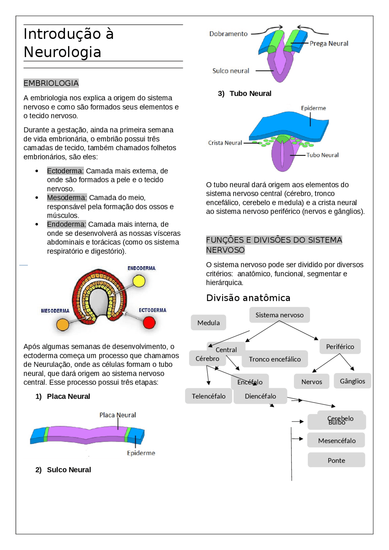 Introdução A Neurologia Docsity