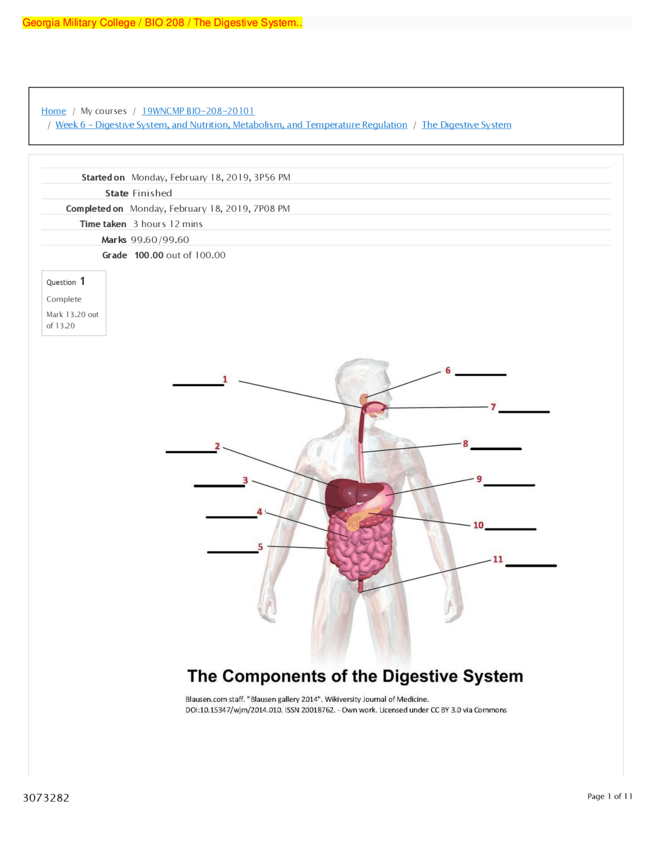 Georgia Military College / BIO 208 / The Digestive System Latest - Docsity