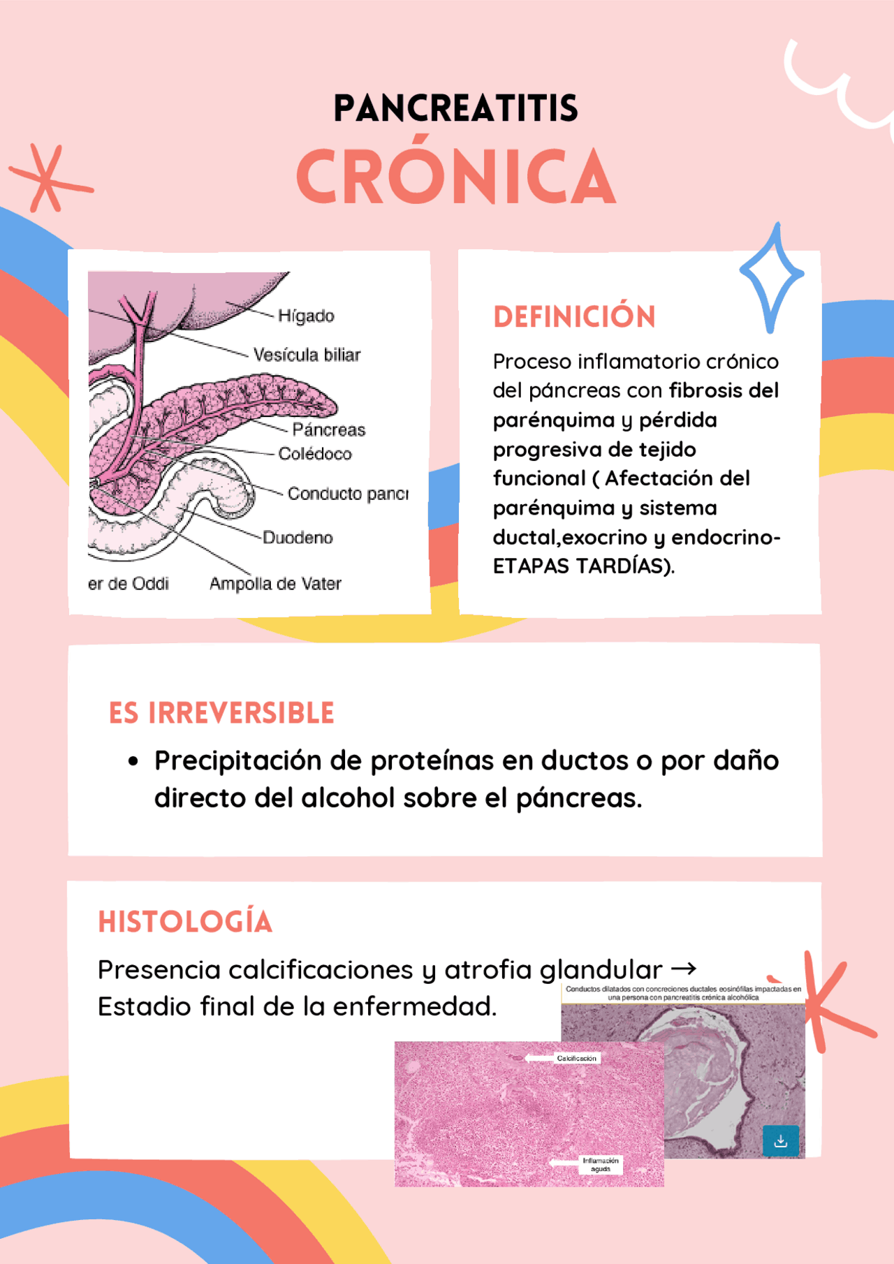 Pancreatitis crónica | Apuntes de Fisiopatología | Docsity