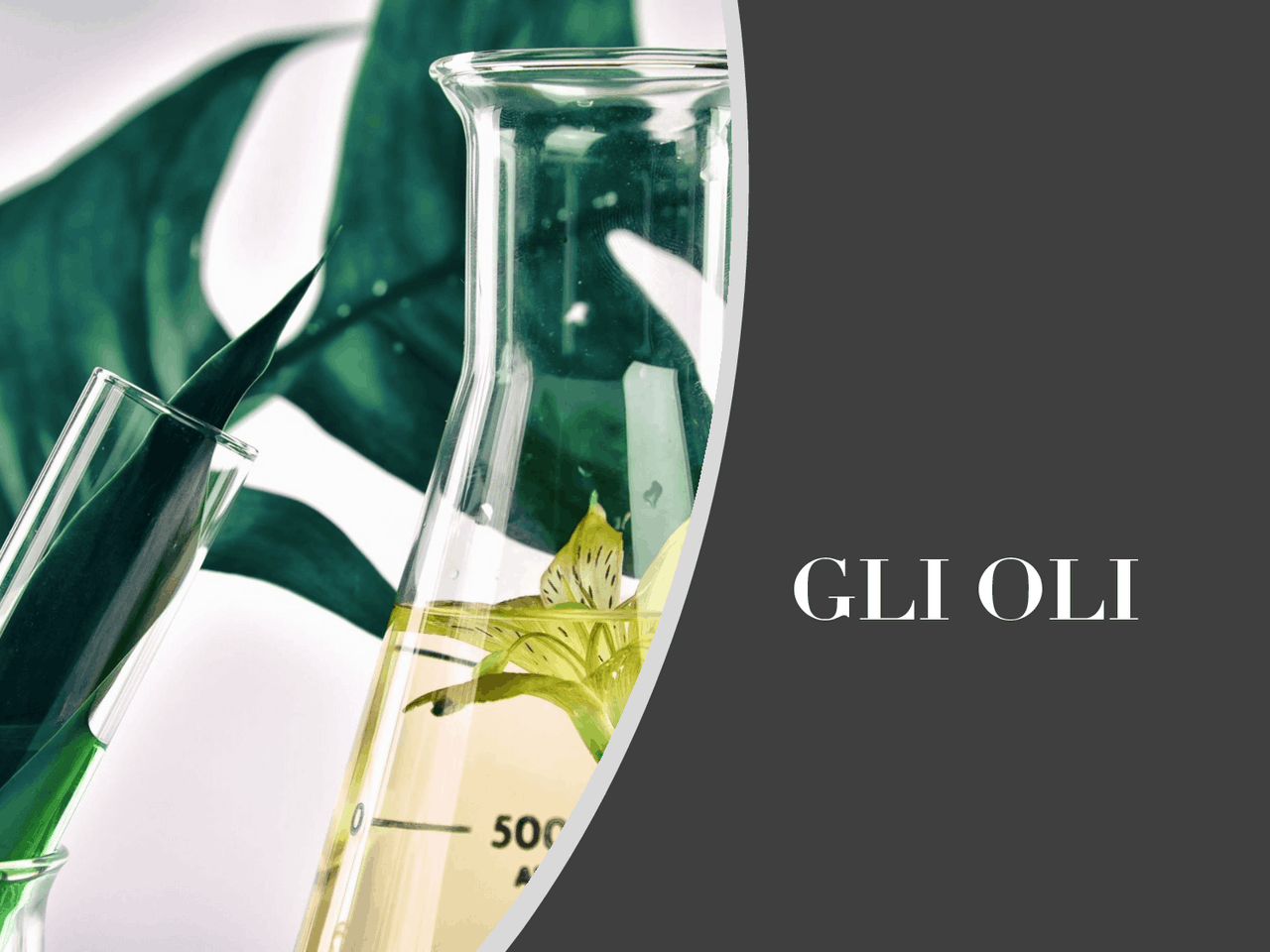 Gli oli- slide power point argomento - Docsity