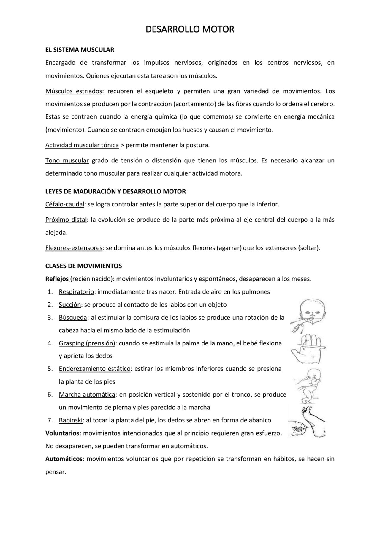 Desarrollo Motor De 0 A 6 Años Resúmenes De Desarrollo Cognitivo