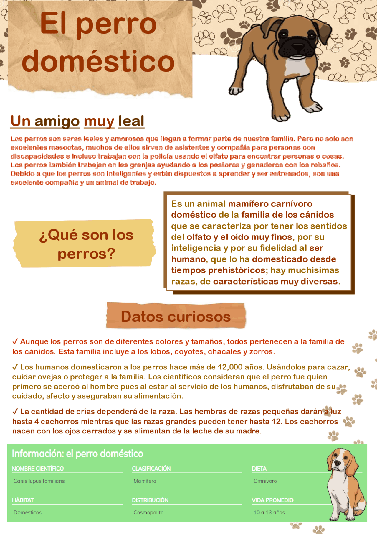 Descripción del perro. - Docsity