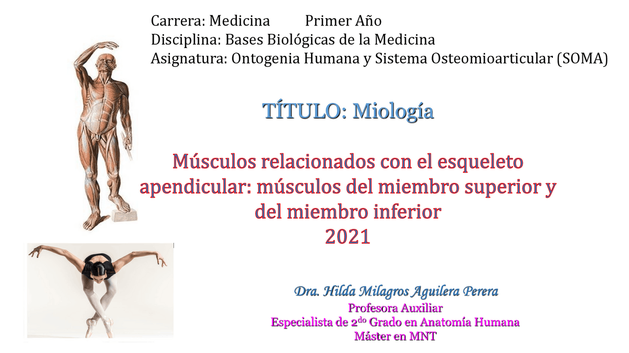 MUSCULOS DEL ESQUELETO APENDICULAR - Docsity