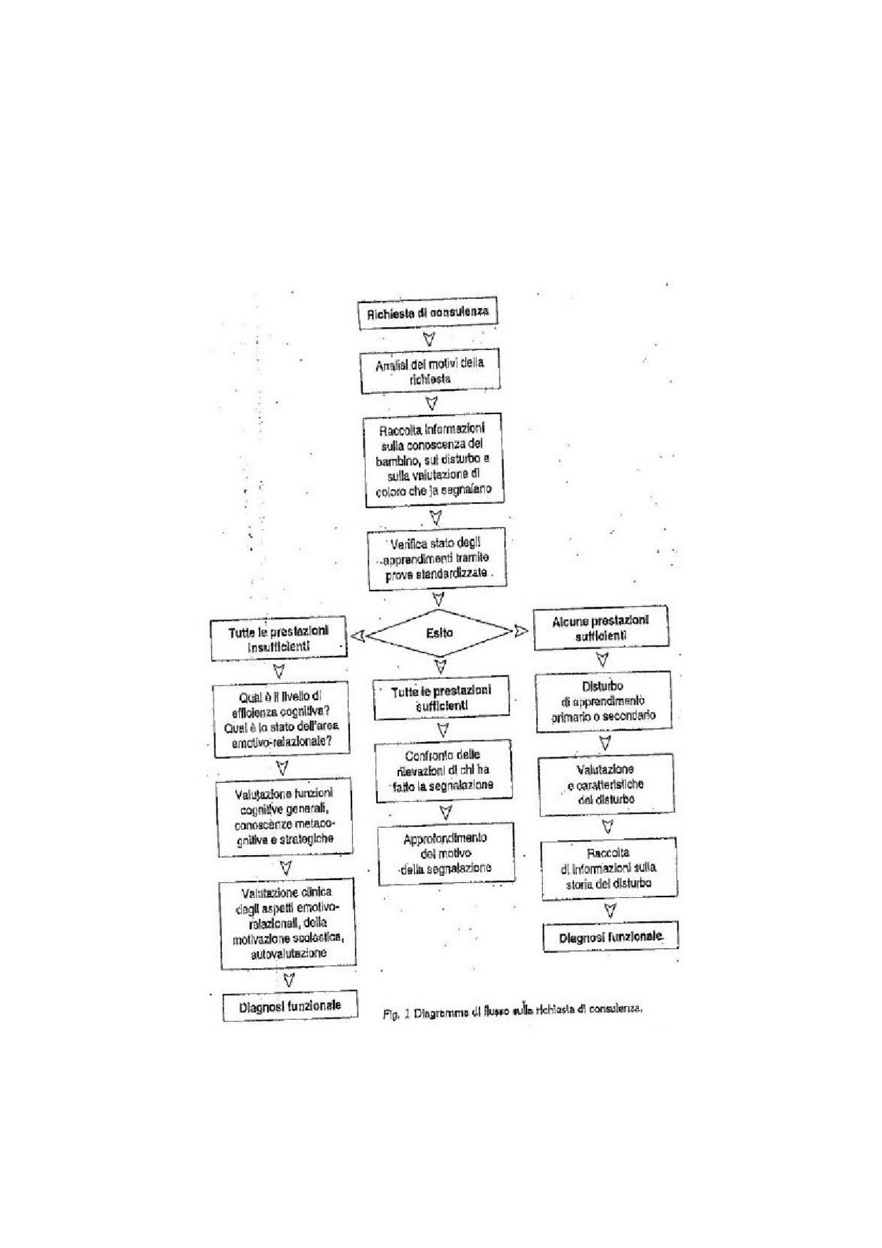 Diagnosi Dei Disturbi Specifici Dellapprendimento Scolastico Vio