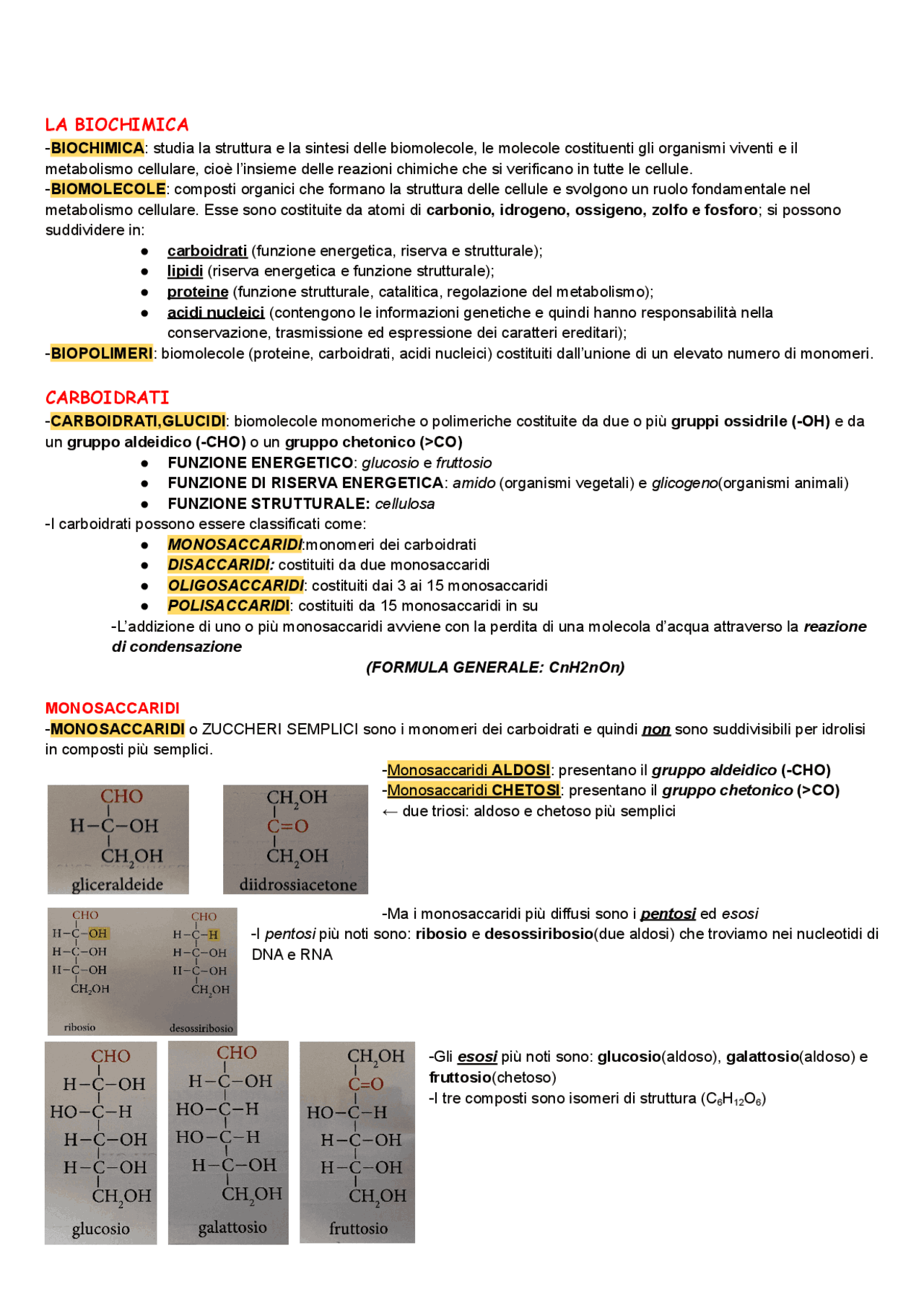 La Biochimica E I Carboidrati Appunti Di Scienze Umane Docsity