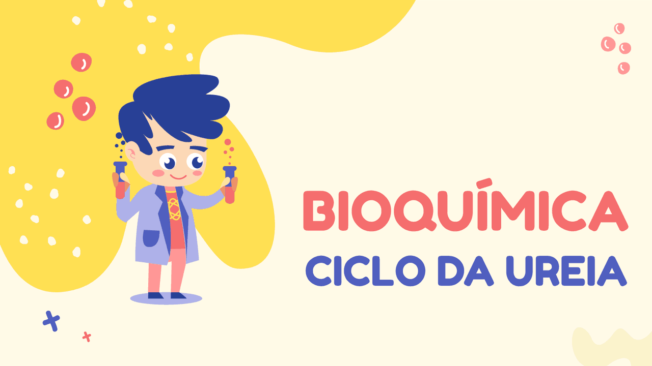 Ciclo da ureia - Fisiologia do fígado - Bioquímica metabólica - Docsity