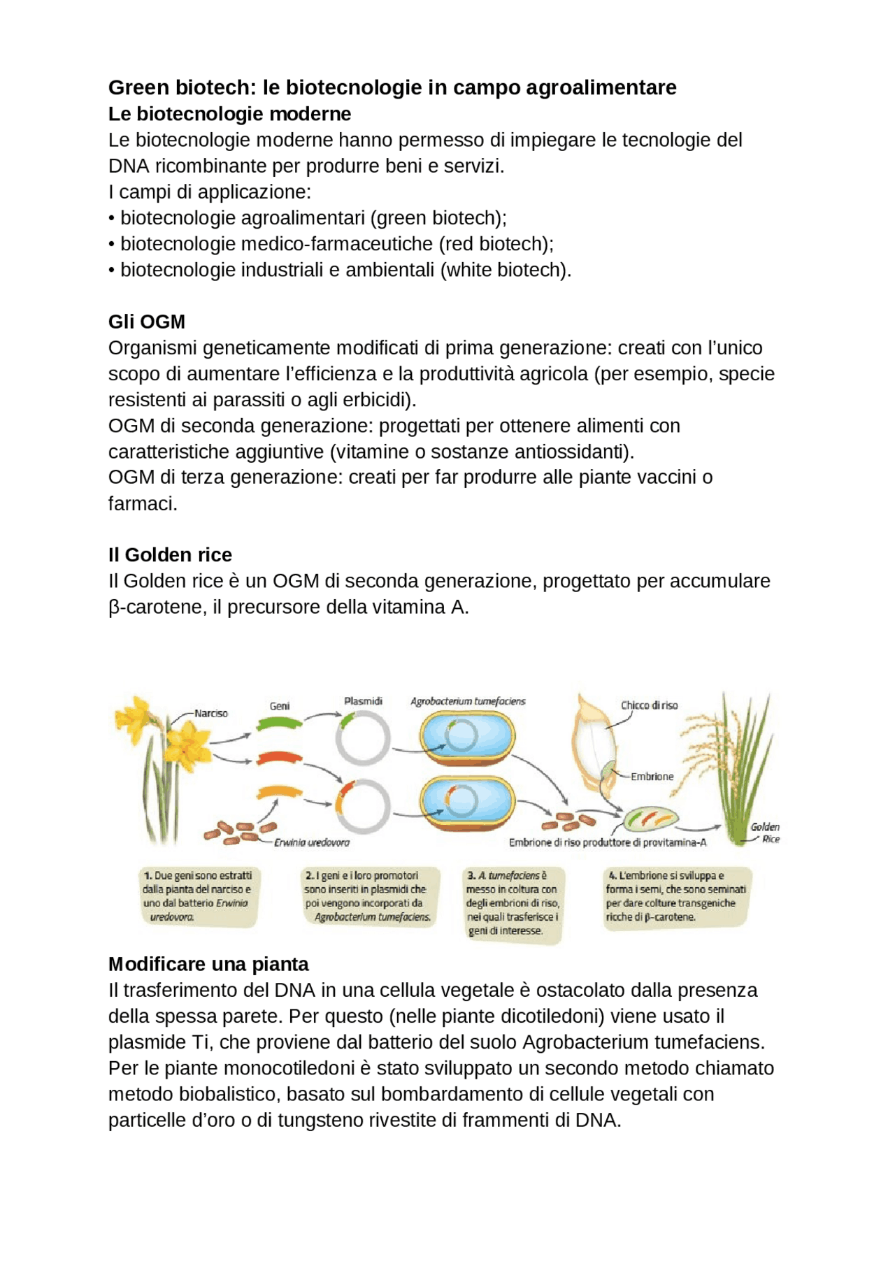 Applicazione Delle Biotecnologie Docsity
