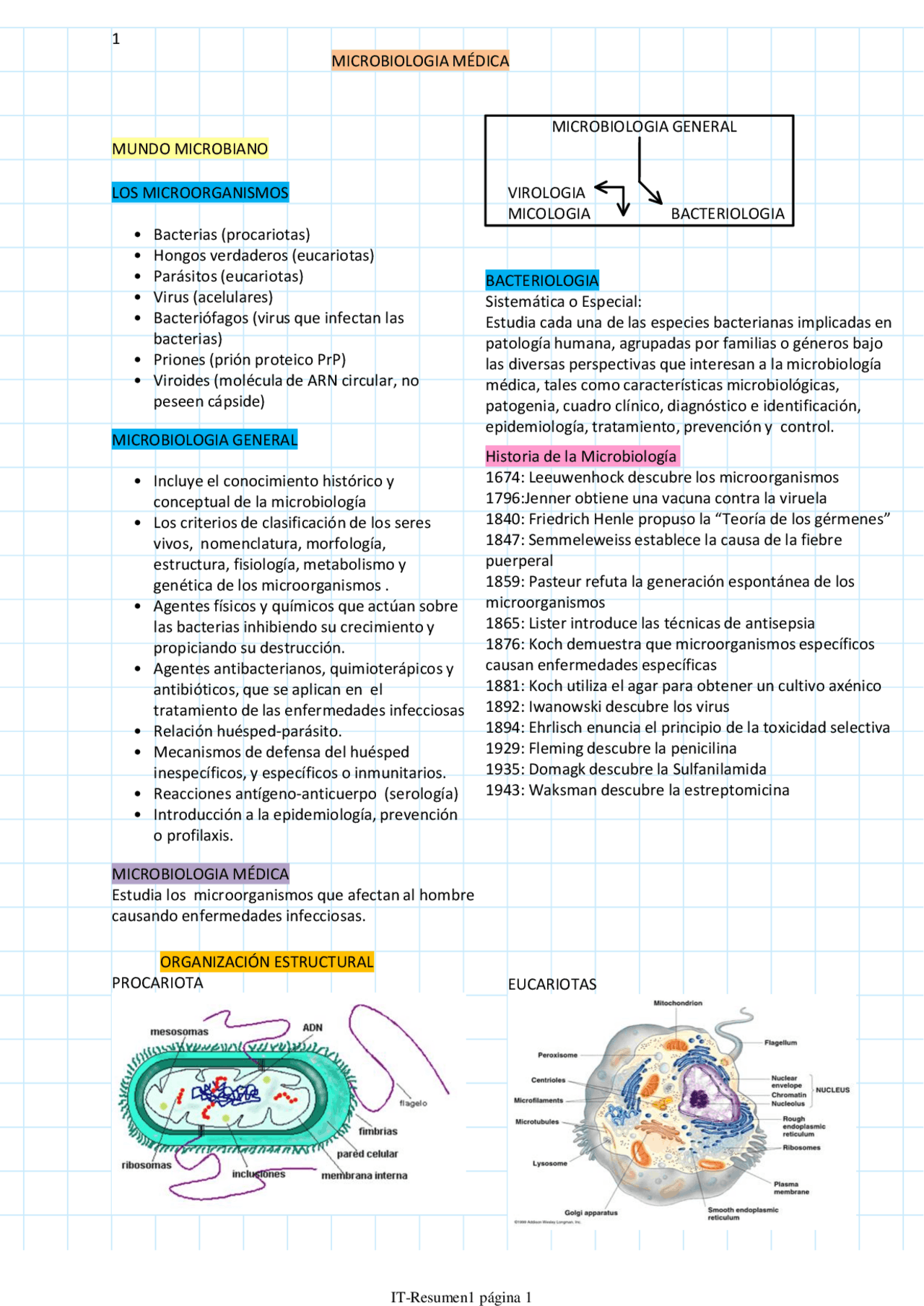 MICROBIOLOGIA MÉDICA MUNDO MICROBIANO LOS MICROORGANISMOS - Docsity