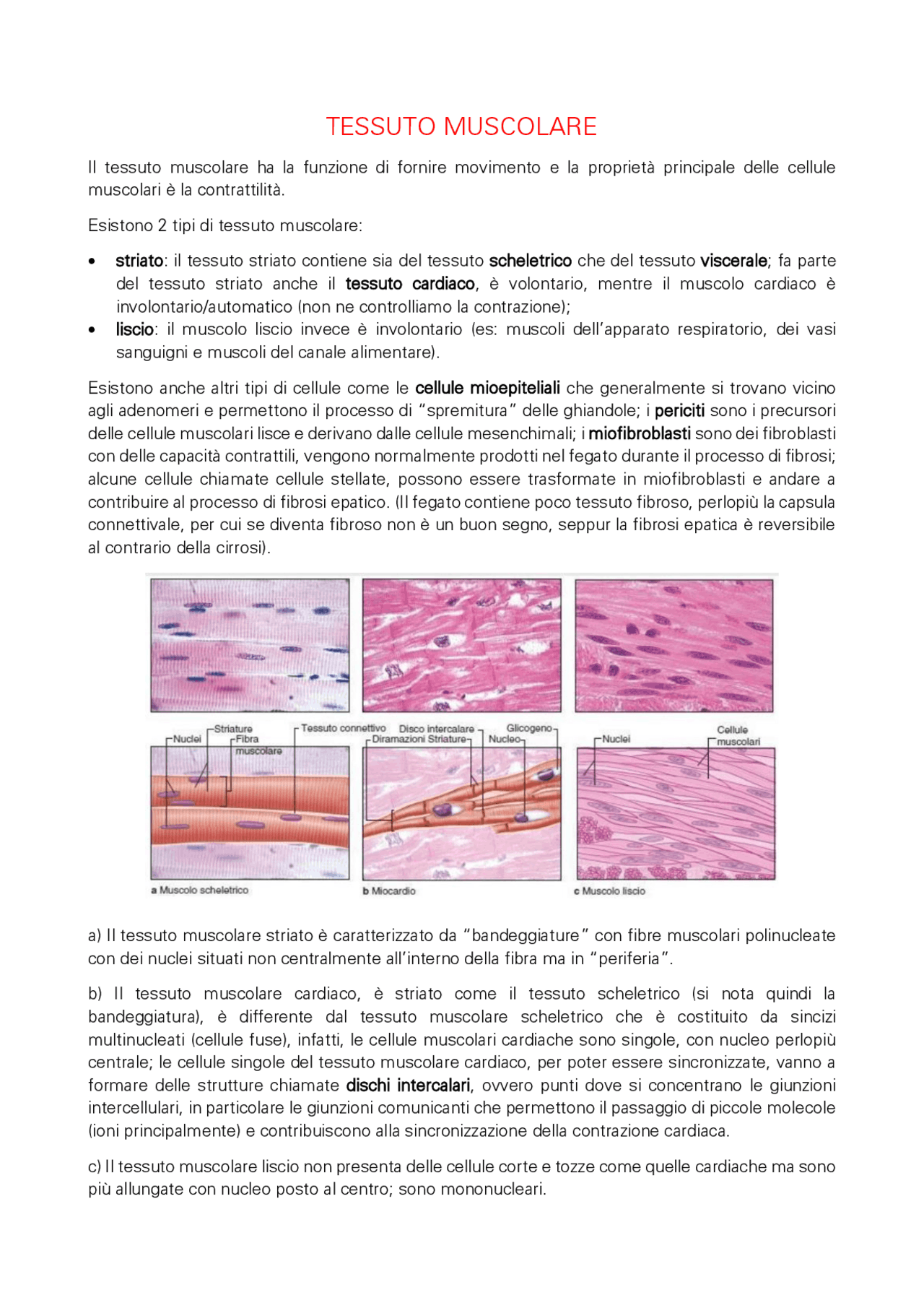 CARATTERISTICHE E FUNZIONI DEL TESSUTO MUSCOLARE - Docsity