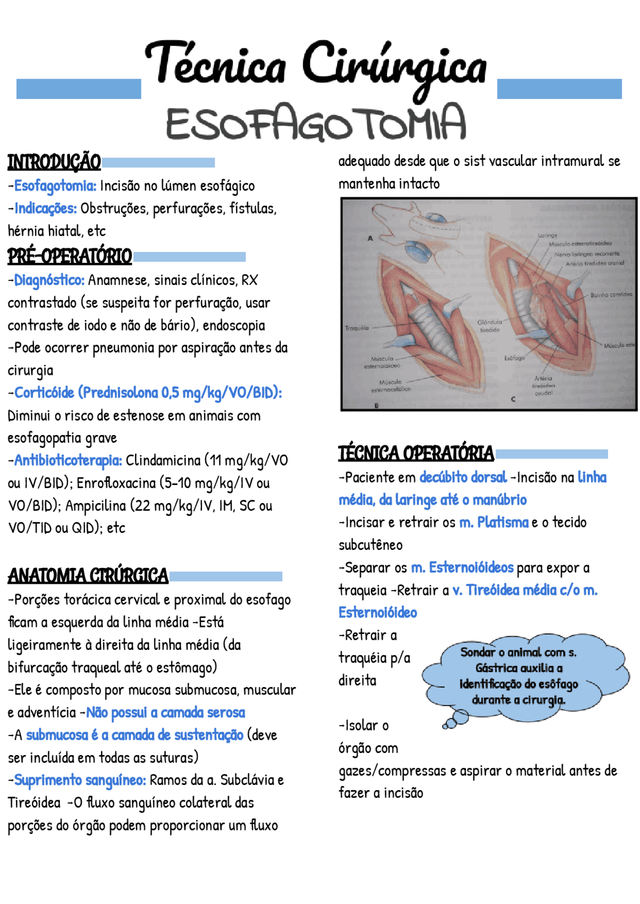 Esofagotomia (técnica cirurgica) | Notas de estudo Cirurgia Geral | Docsity