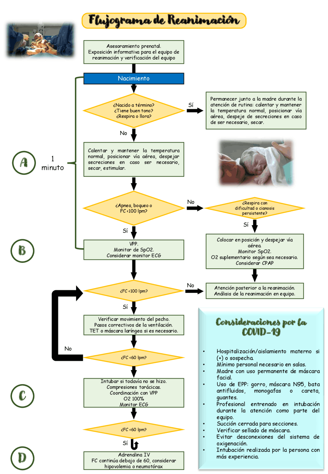 Diagrama De Reanimación Neonatal Nrp 7.ª Edición Guia Practica De