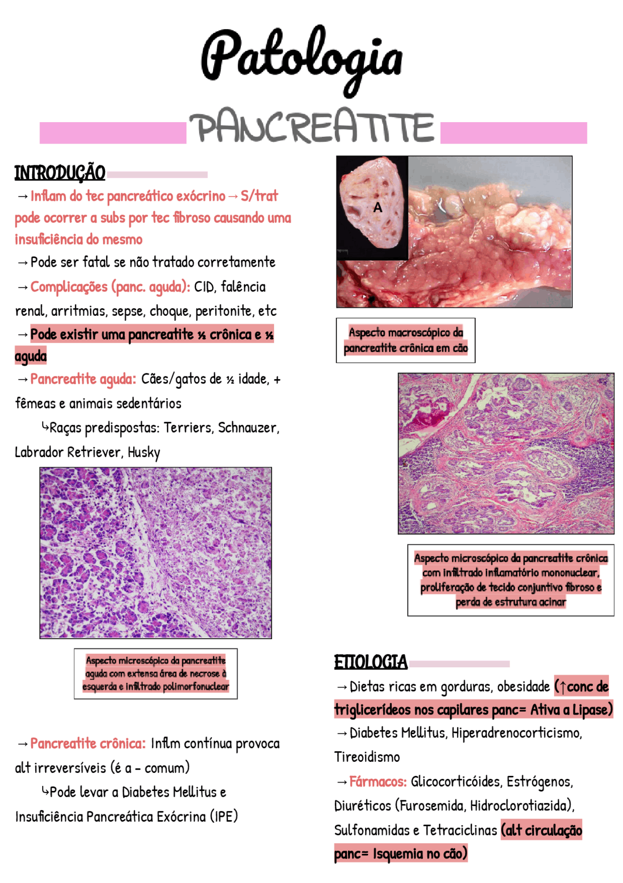 Histologia Pancreatite Aguda SciELO Brasil Necrose Pancreática