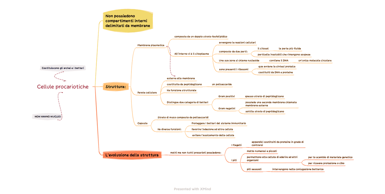 Cellule Procariotiche - Mappa Concettuale - Docsity