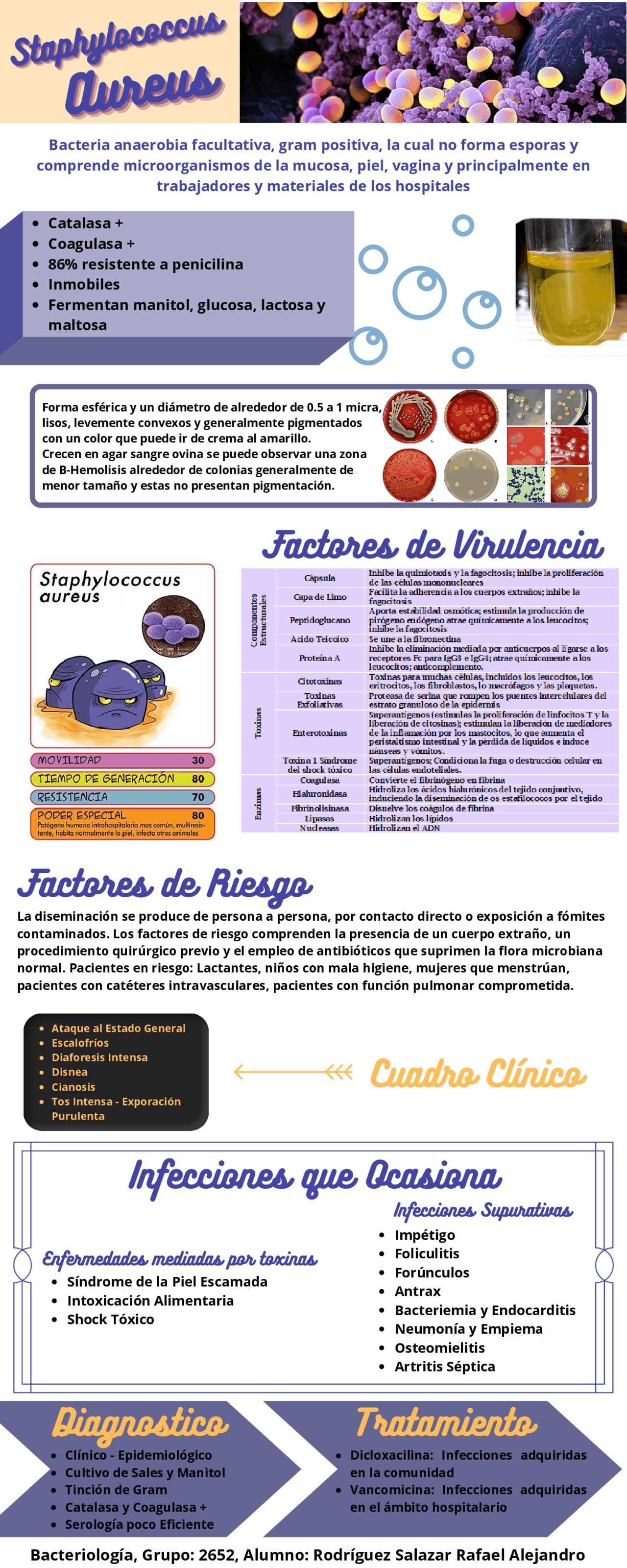 Infografia Staphylococcus | Esquemas y mapas conceptuales de ...