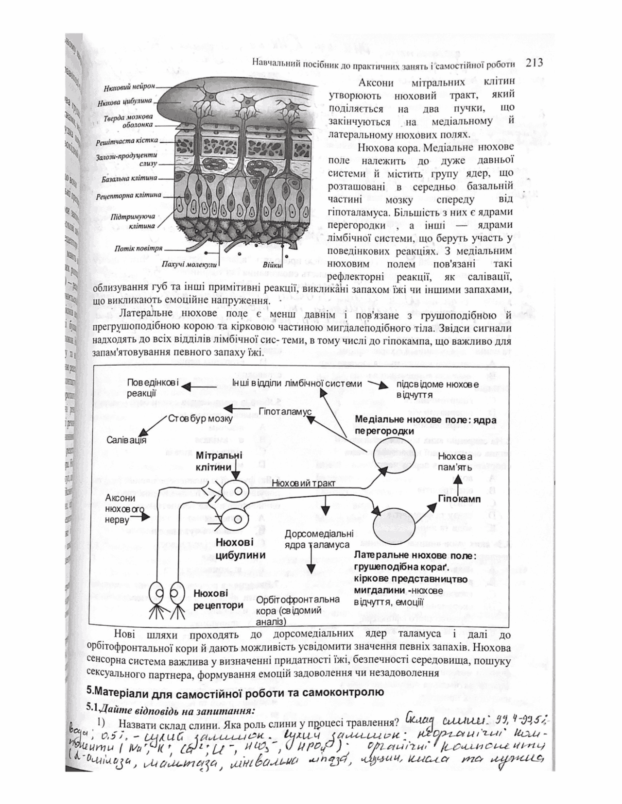 Фізіологія практикум тема 17 20 Упражнения и задачи Физиология Docsity