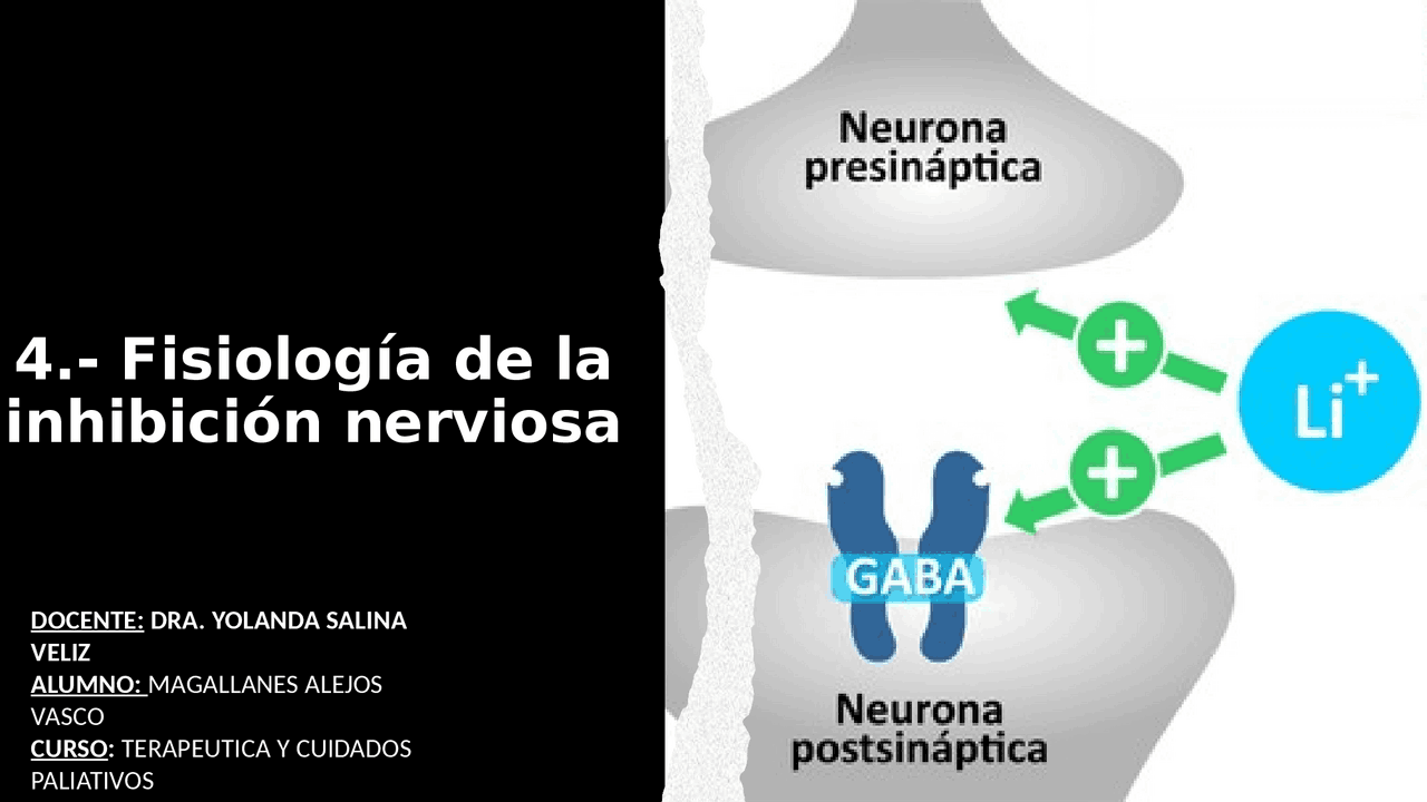 Fisiología de la inhibición nerviosa | Diapositivas de Farmacología ...