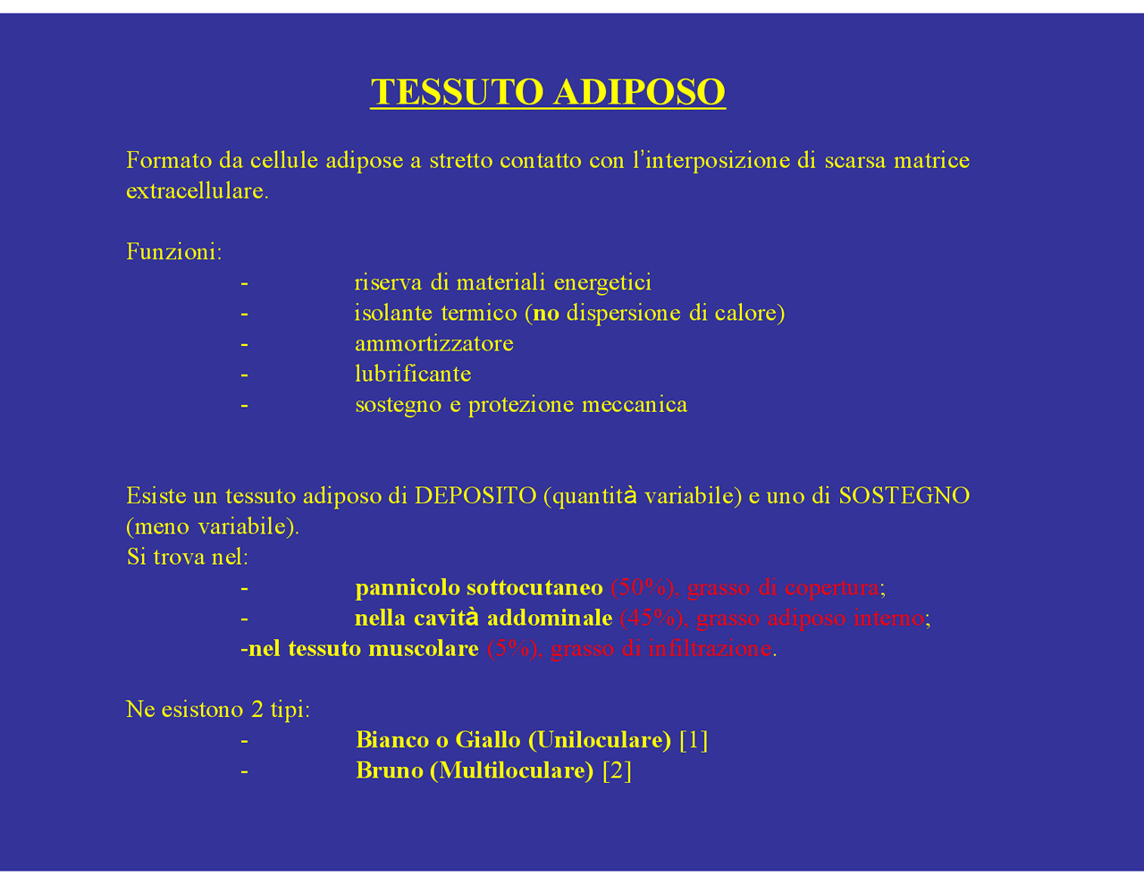 Tessuto Cartilagineo Pdf Docsity