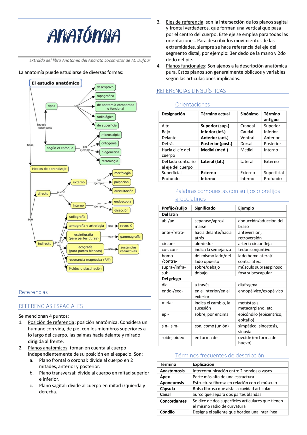 Apuntes De Morfofisiología Anatomía Docsity