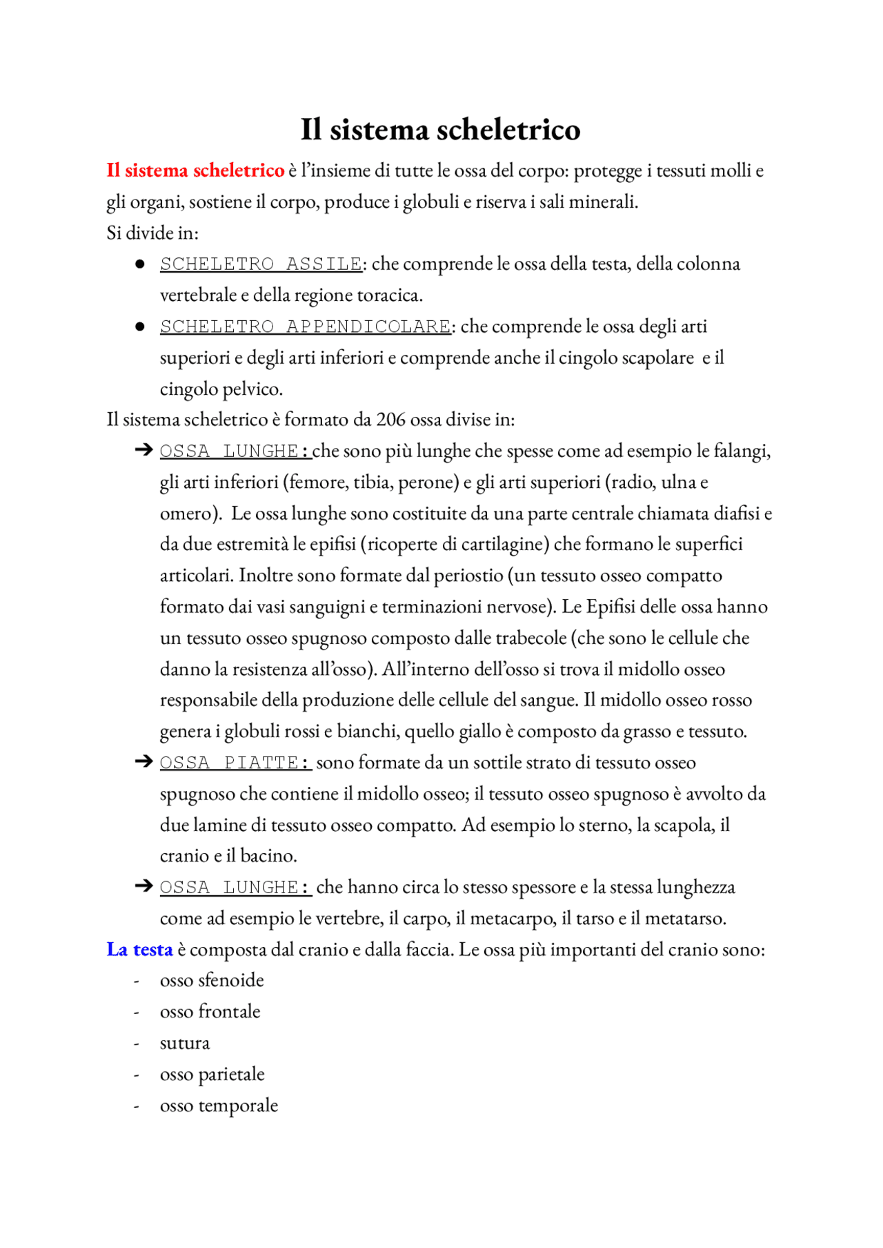 Il Sistema Scheletrico Appunti Di Educazione Fisica Docsity