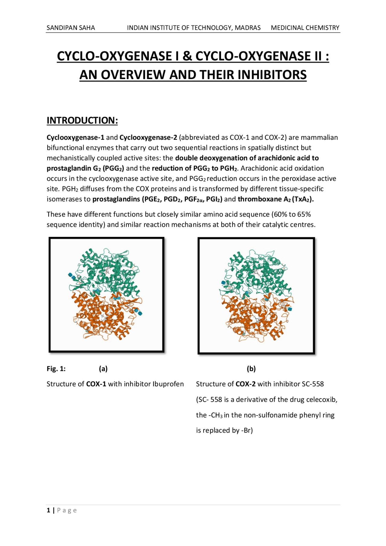CYCLO-OXYGENASE ENZYMES: BRIEF OVERVIEW AND THEIR INHIBITORS - Docsity