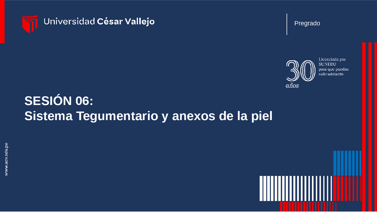 Sistema óseo Del Cuerpo Humano Diapositivas De Anatomía Docsity