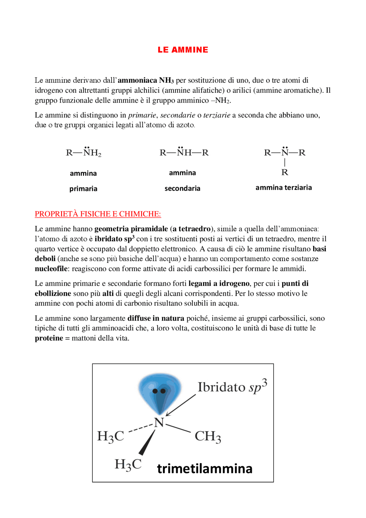AMMINE E AMMIDI CHIMICA ORGANICA - Docsity