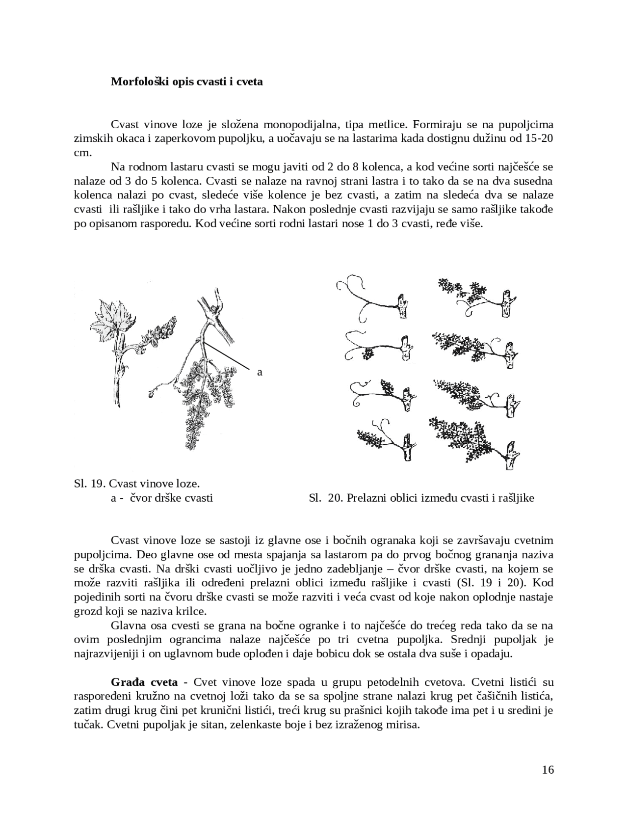 Skripta iz uvoda u elektroniku | Skripte' predlog Elektrohemija - Docsity