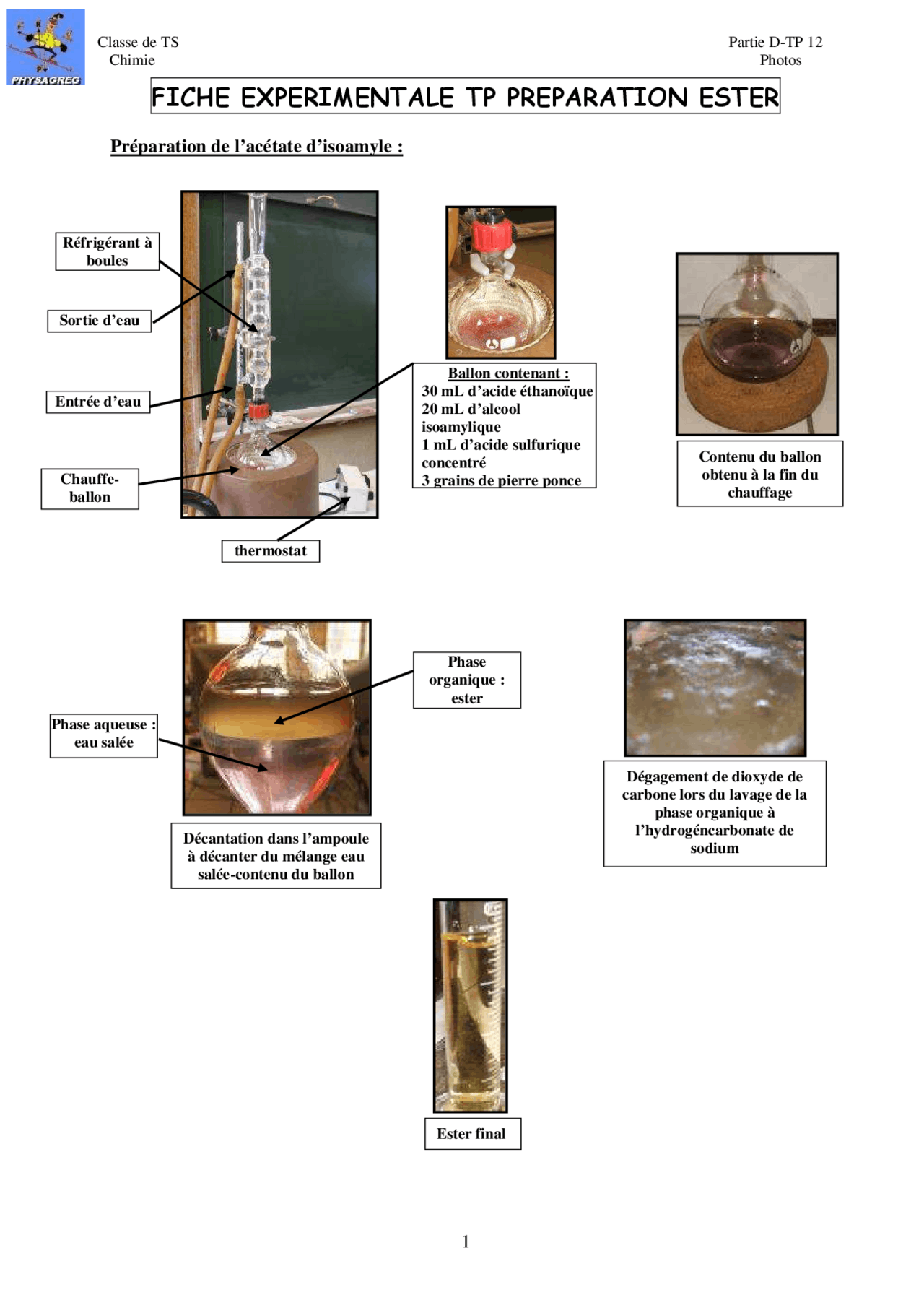 FICHE EXPERIMENTALE TP PREPARATION ESTER - Docsity