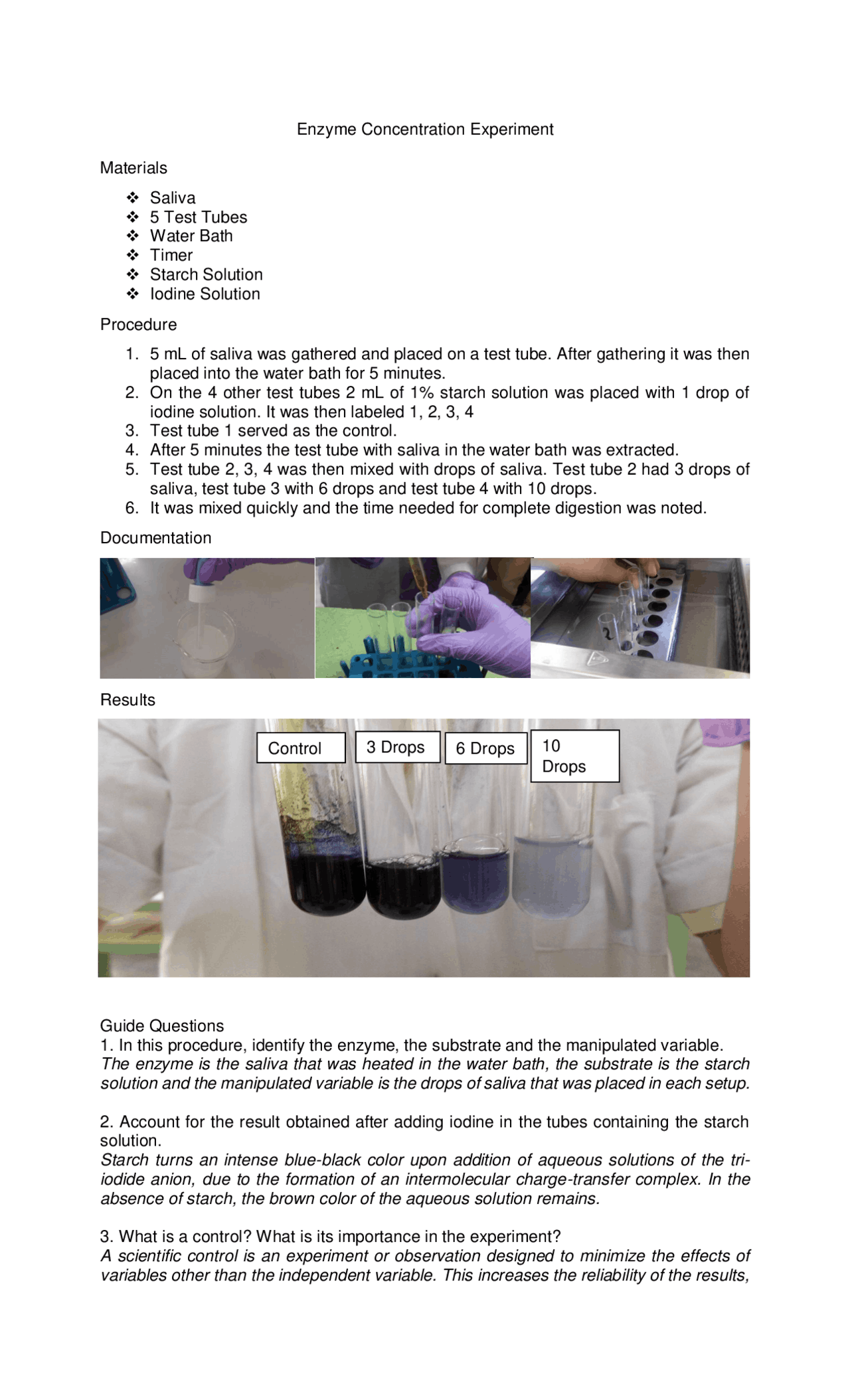 Enzyme Concentration Experiment Lab Report Docsity