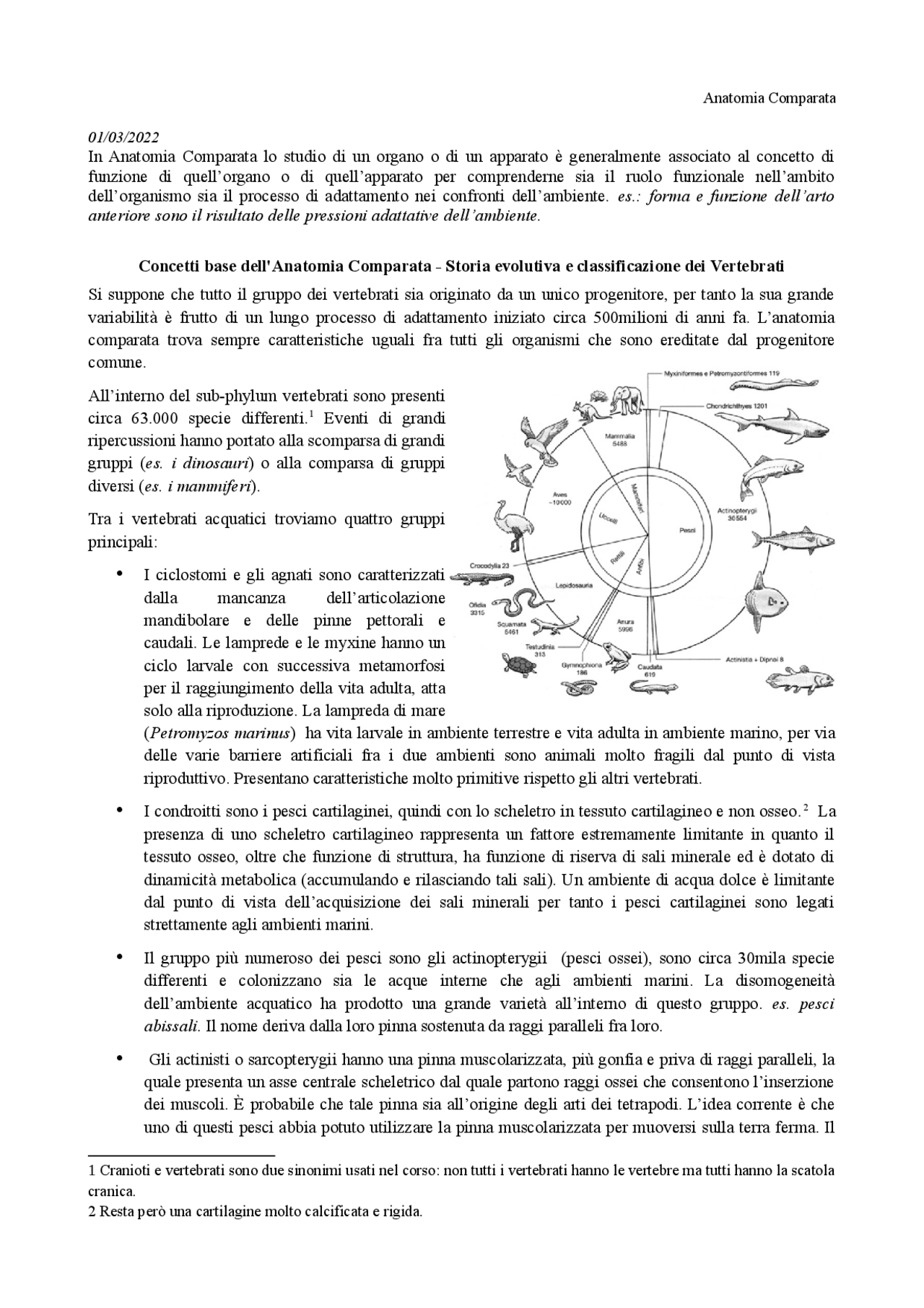 Introduzione Allanatomia Comparata Docsity