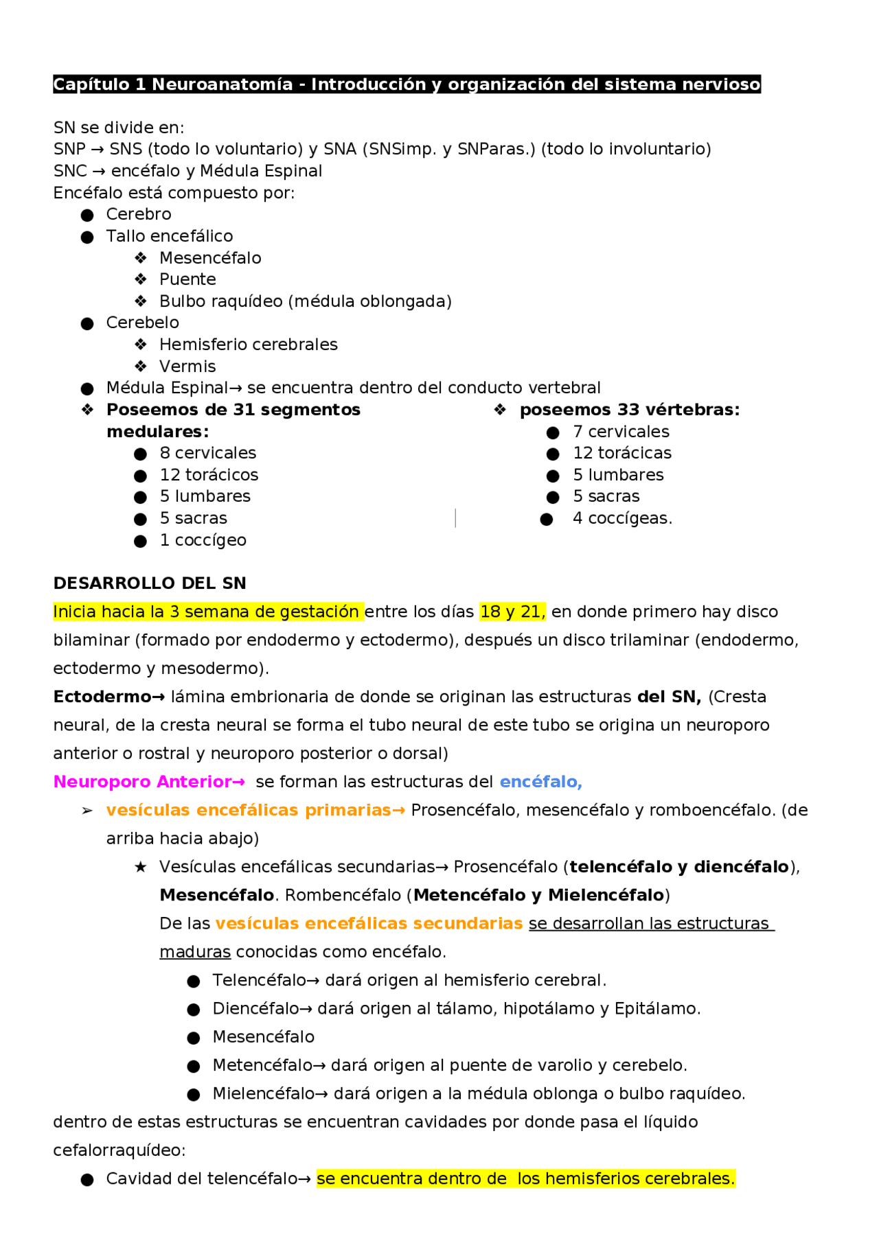 NeuroanatomÍa Resumida Resúmenes De Neuroanatomía Docsity