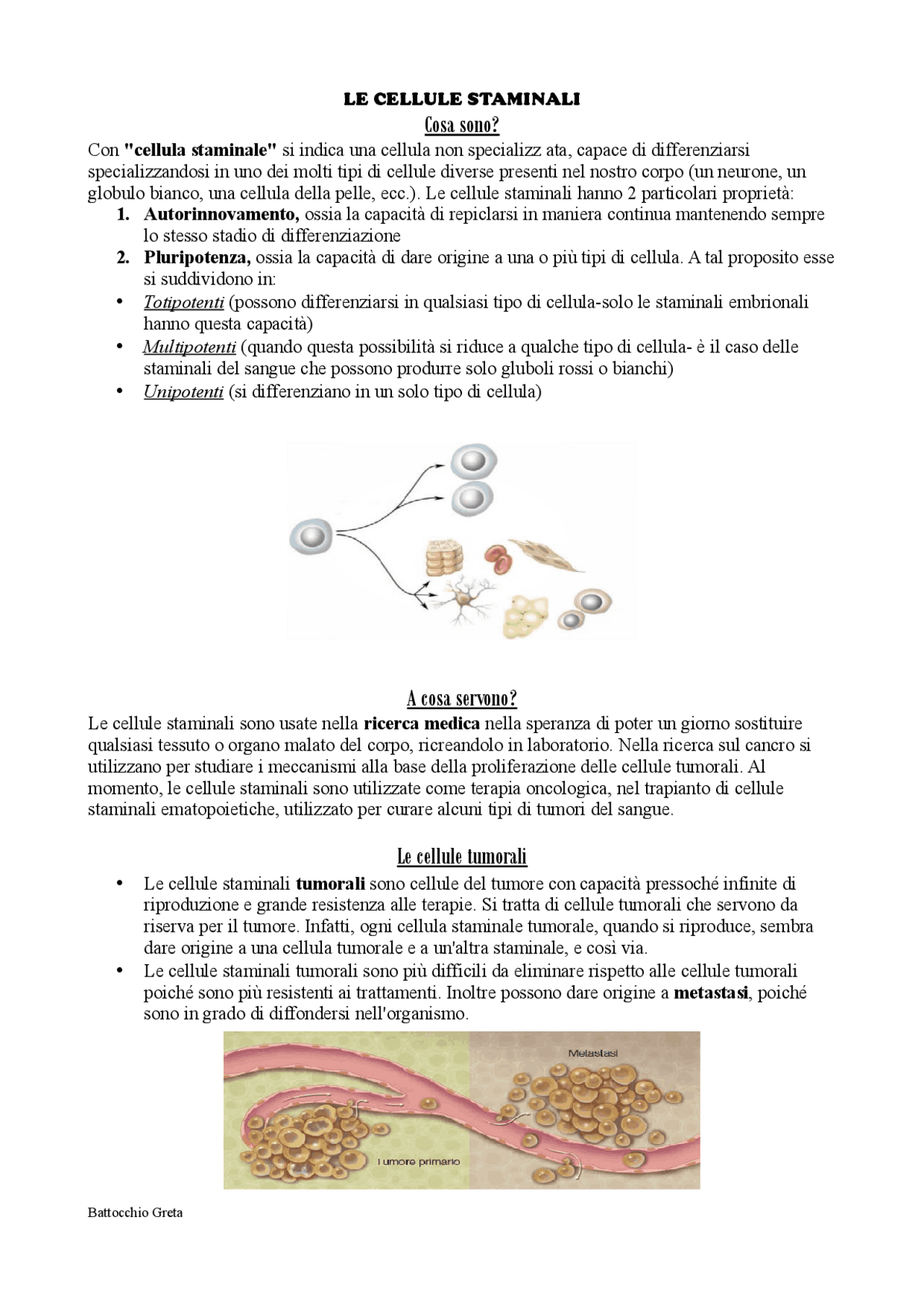 Le Cellule Staminali Docsity