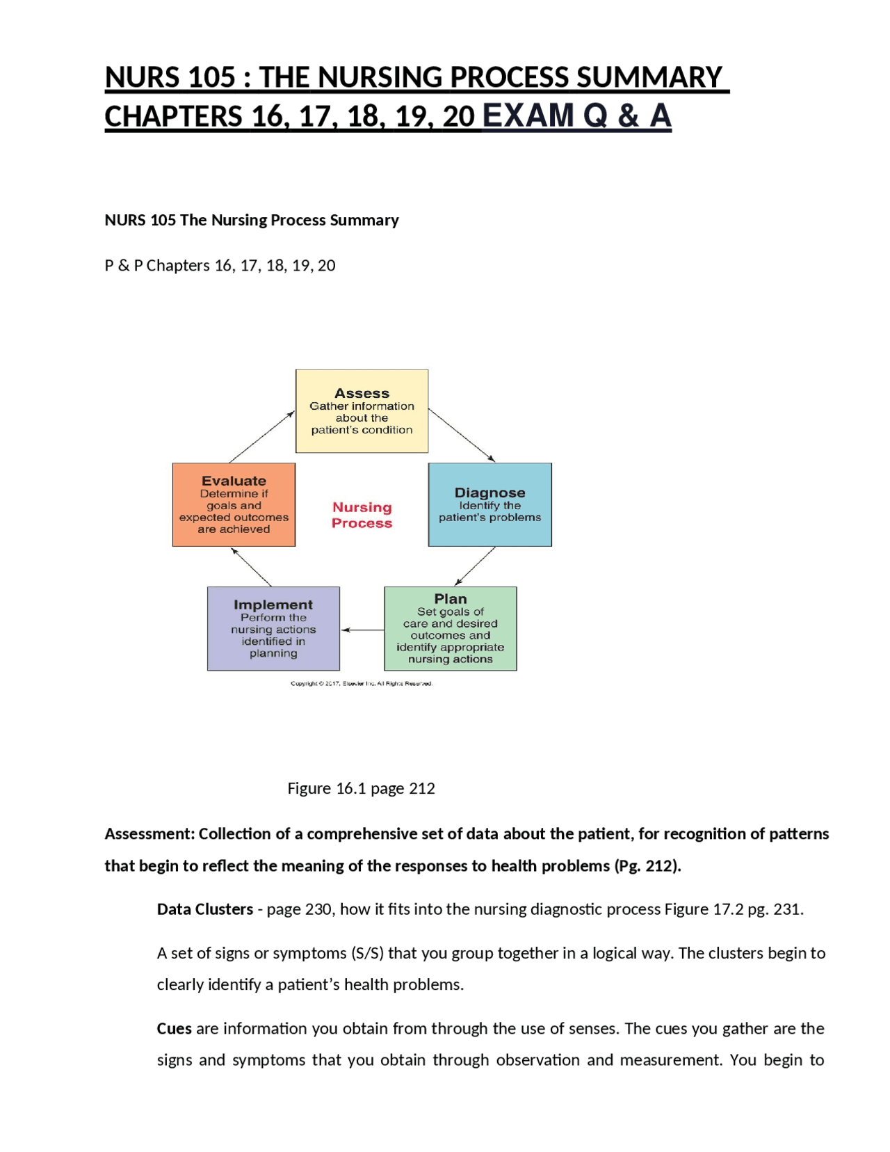 Nursing Process Summary | Exams Nursing | Docsity
