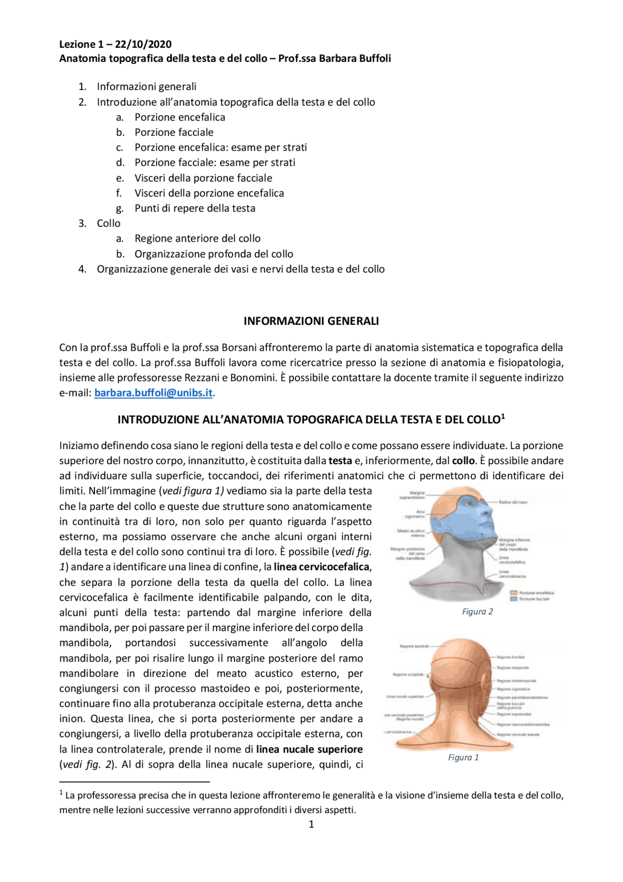 Anatomia sistematica testa e collo - Docsity
