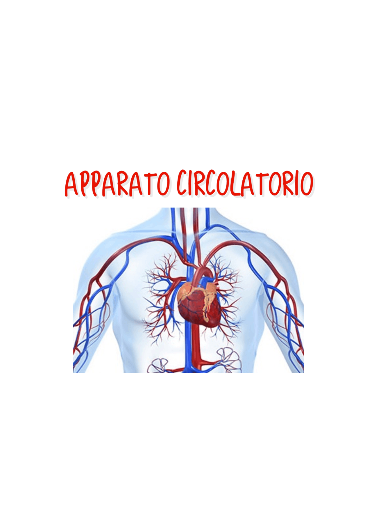 Apparato Circolatorio Anatomia I Schemi E Mappe Concettuali Di