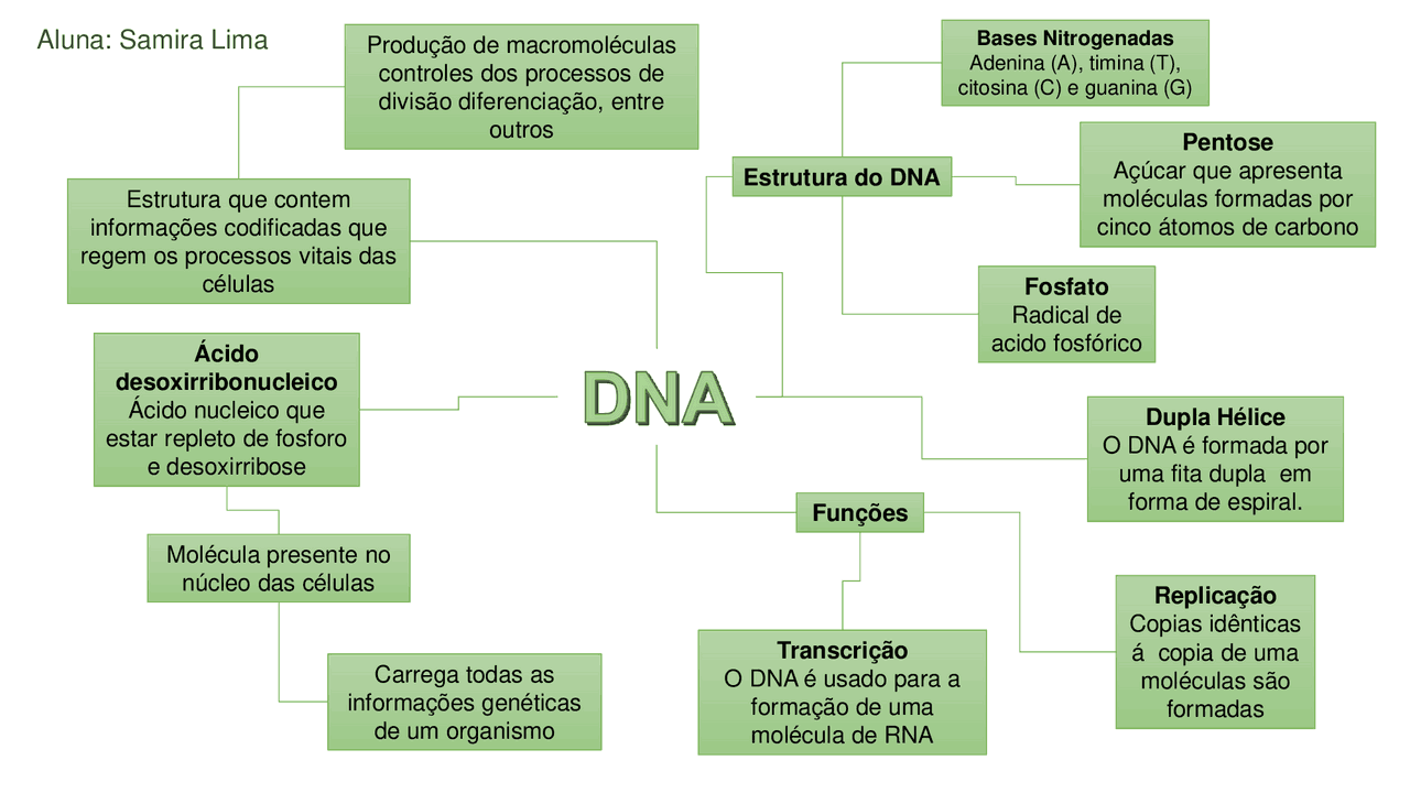 Mapa mental de DNA agronomia - Docsity