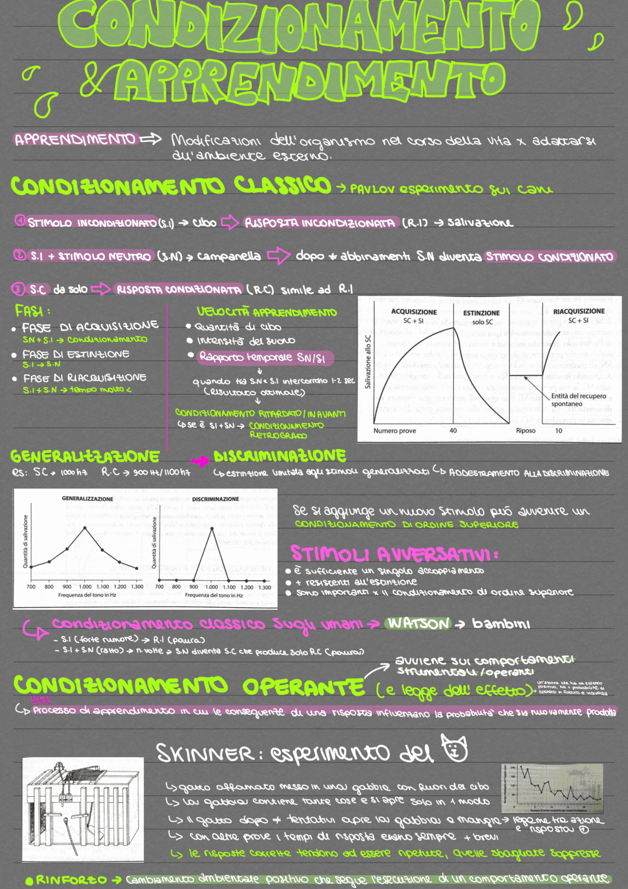 Condizionamento E Apprendimento Cap5 Docsity