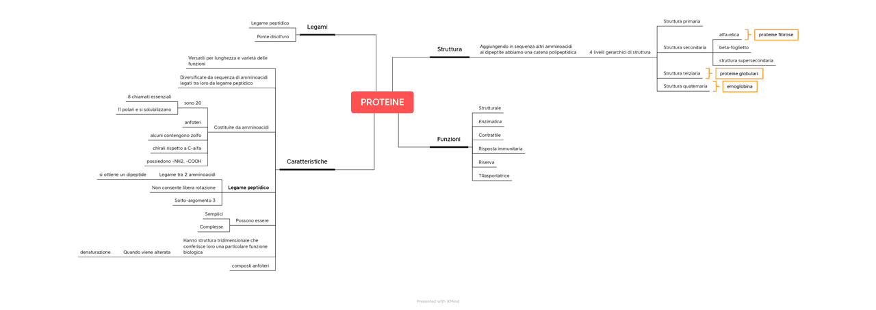 Le proteine-mappa mentale | Schemes and Mind Maps of Chimica organica | Docsity