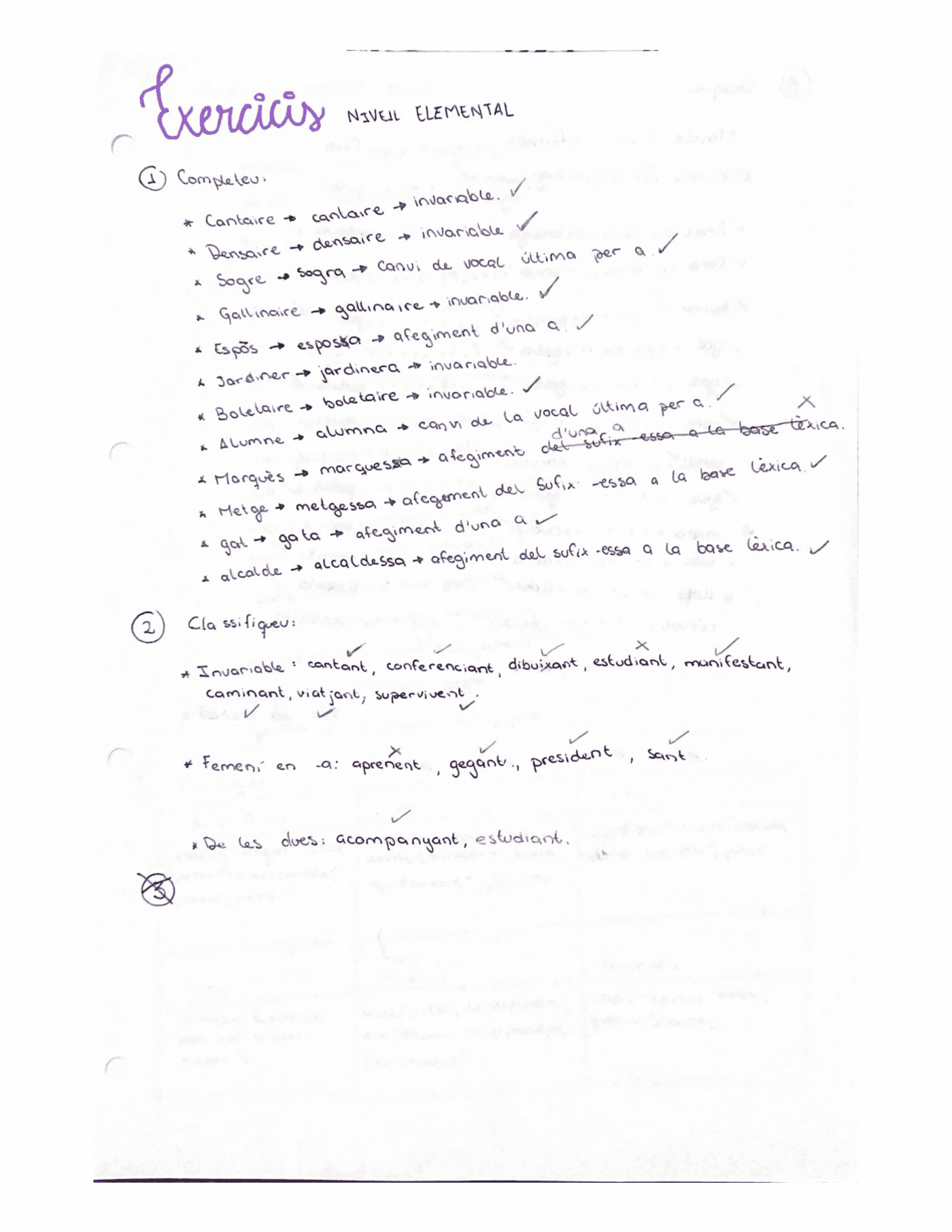 Exercicis Catalán Femeni Masculí Plural Singular Ejercicios De