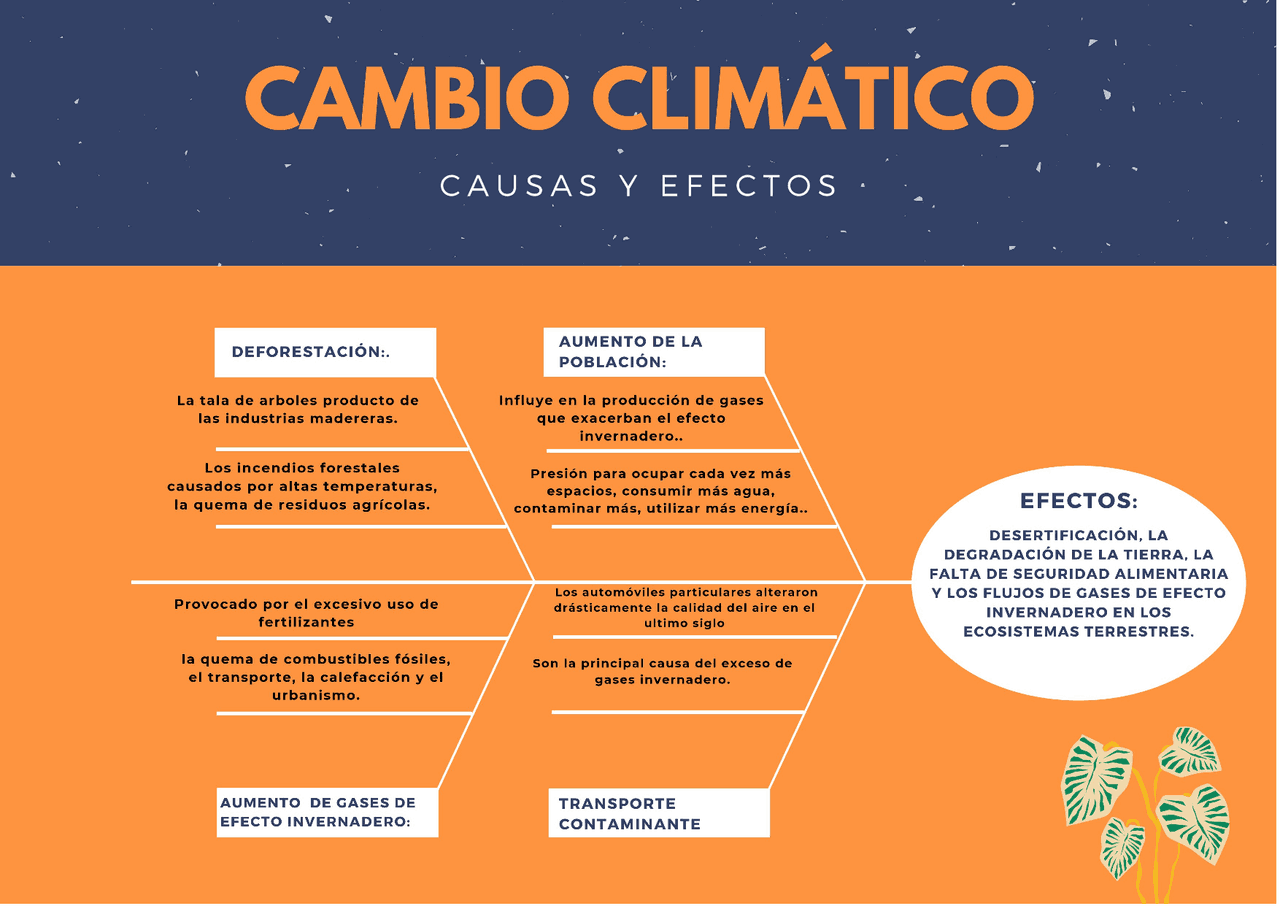 Organizador visual Tipo mapa conceptual sobre el Cambio Climatico ...