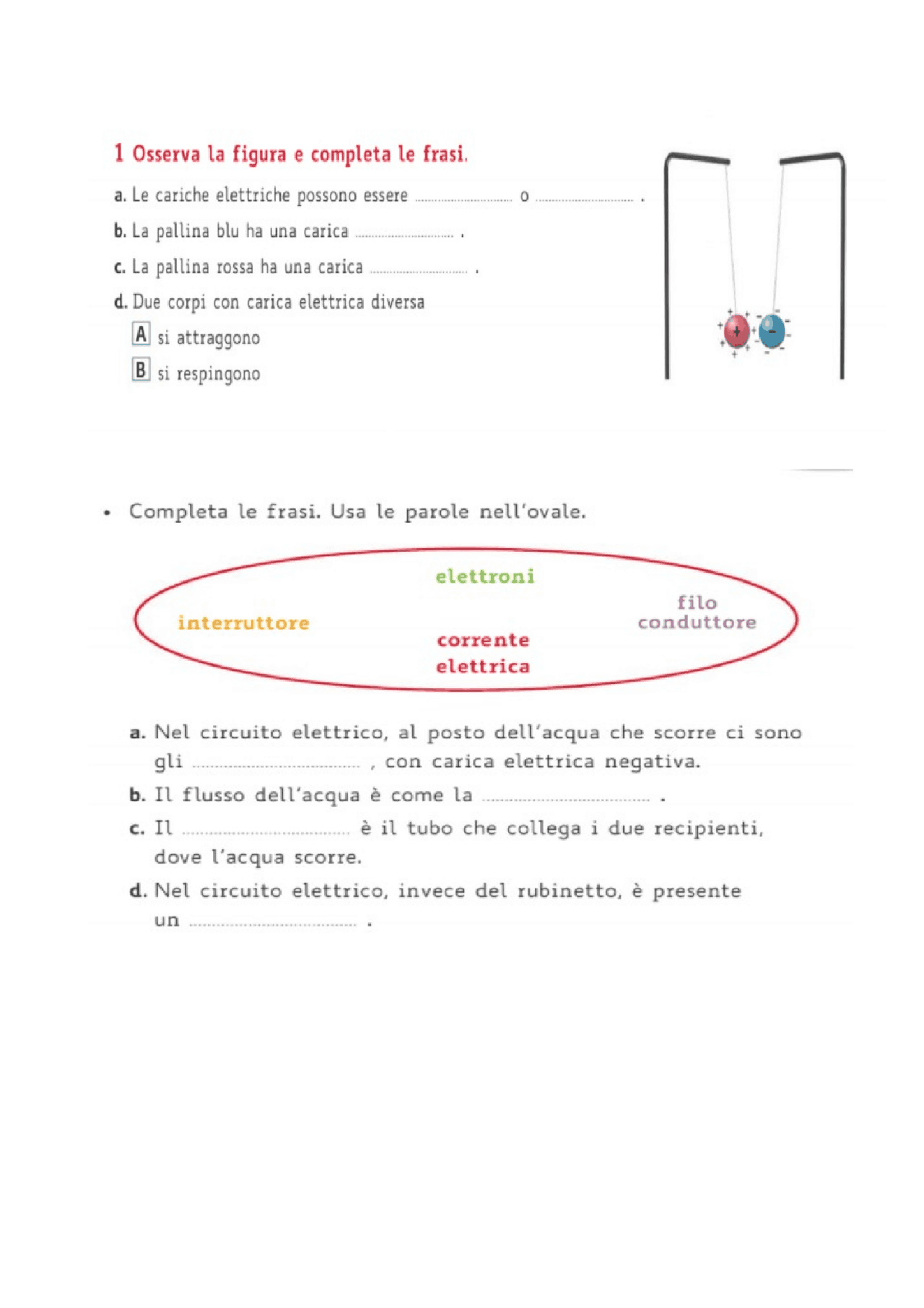Verifica Scienze Dsa Docsity