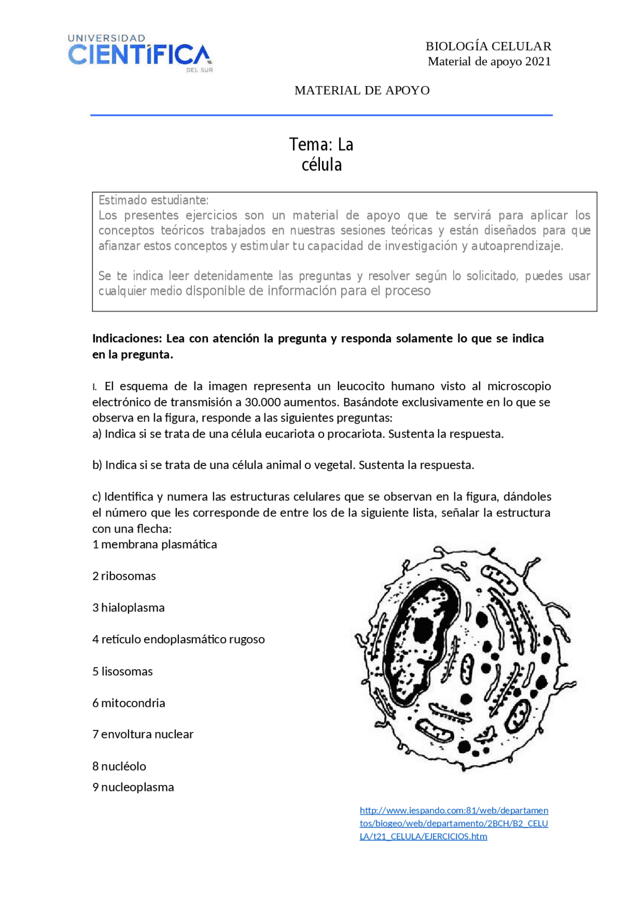 Apuntes De Biologia Ucsur Docsity