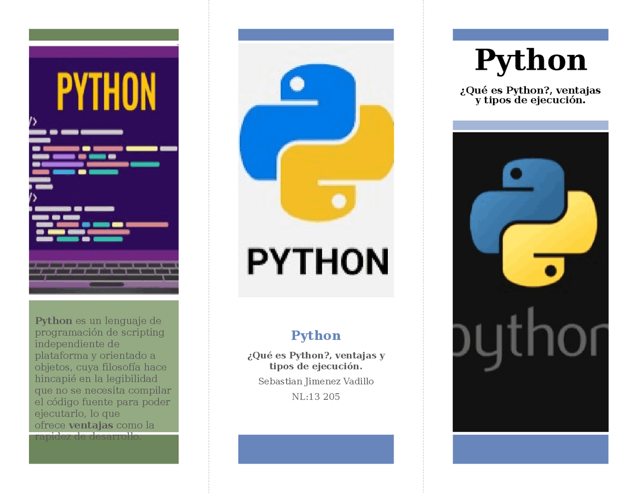 Python ¿Qué es Python?, ventajas y tipos de ejecución. | Esquemas y ...
