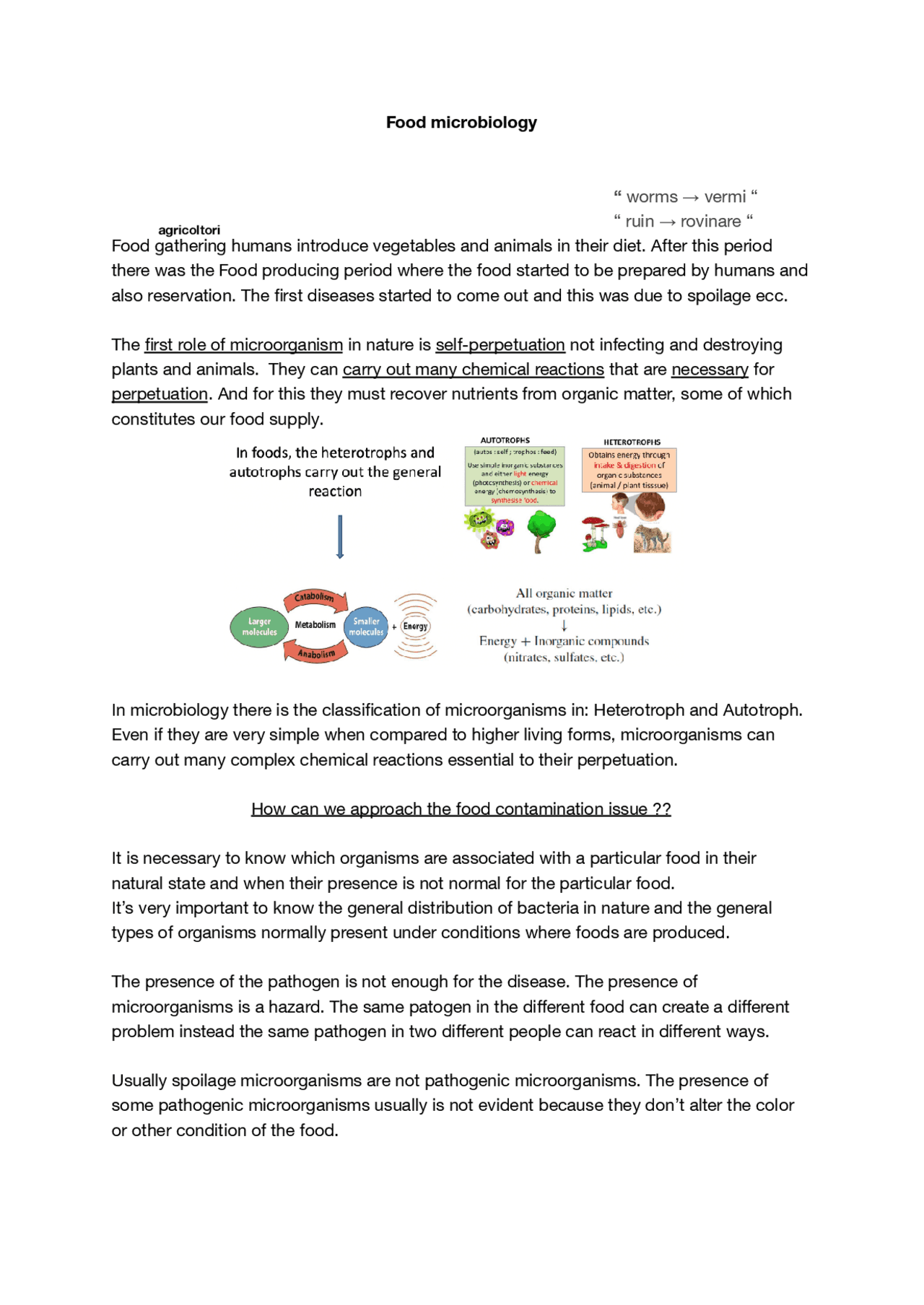 Microbiology Course Fsfrm Docsity