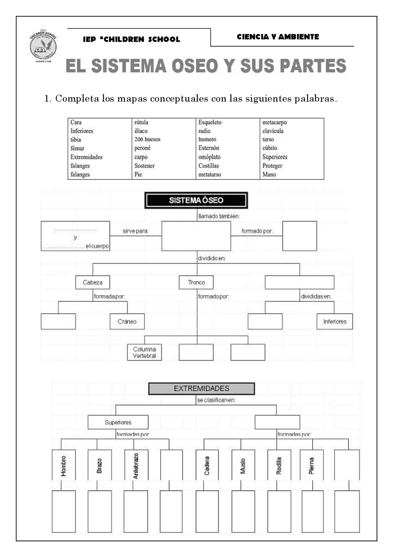 Sistema Oseo Y Sus Partes Docsity