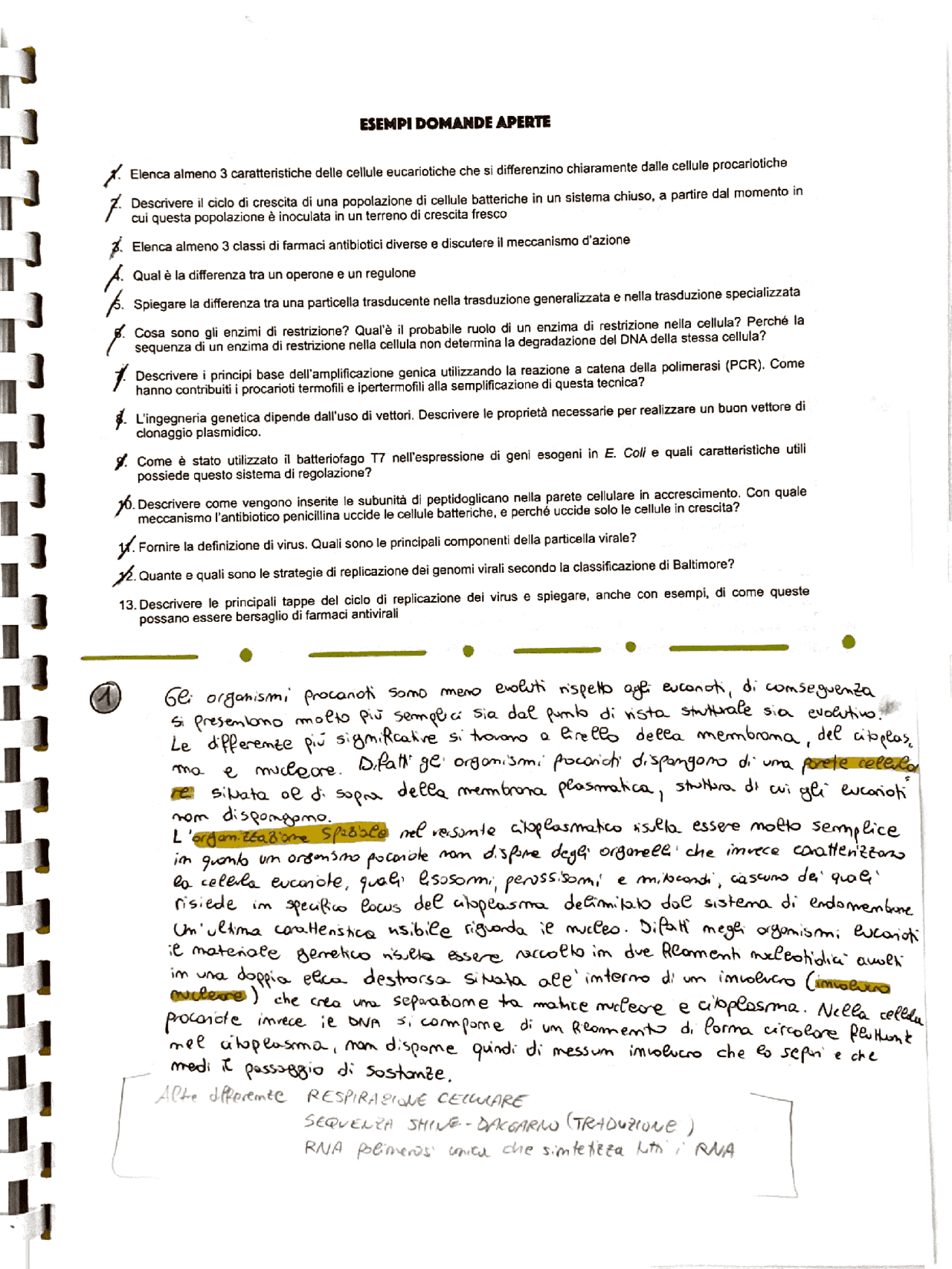 Domande Aperte con risposta - Docsity