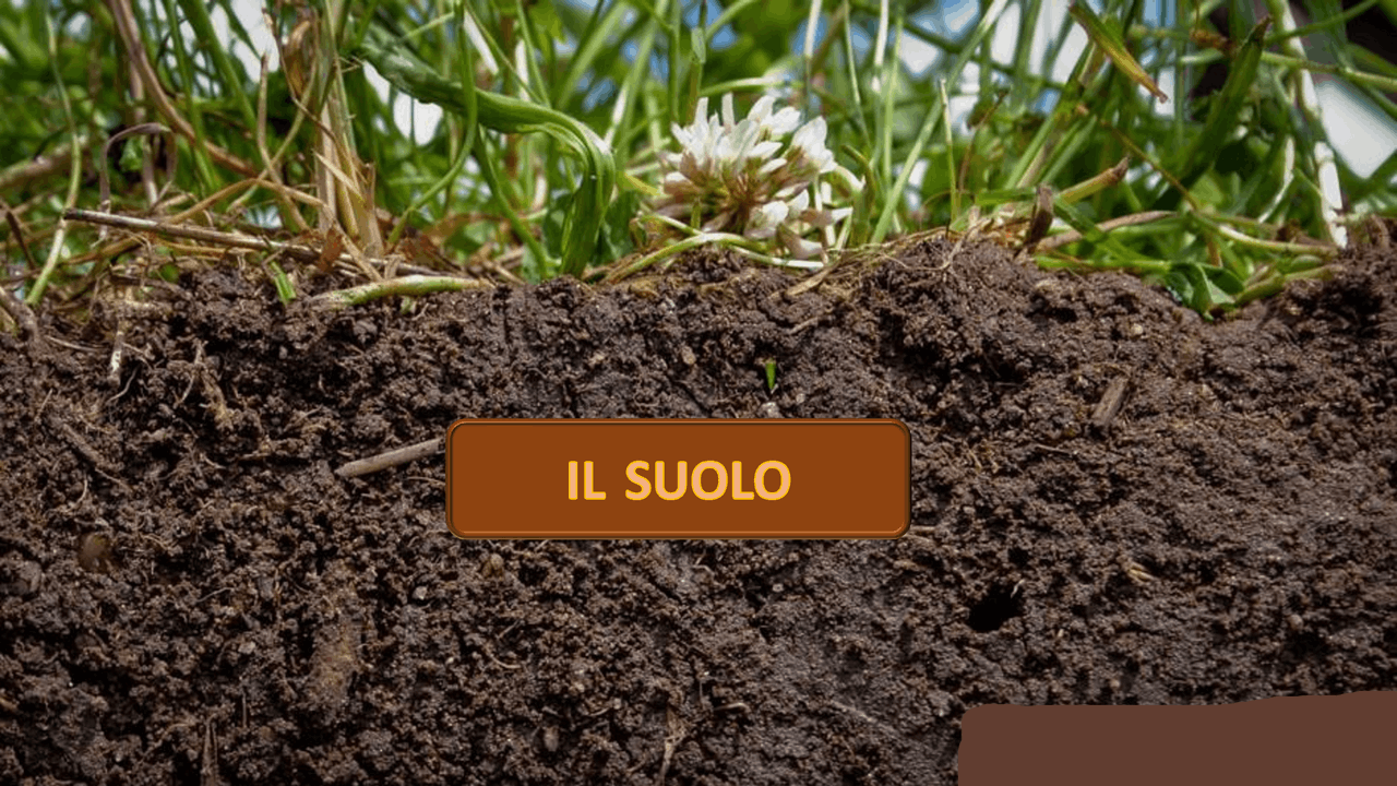 IL SUOLO E LE SUE CARATTERISTICHE - Docsity